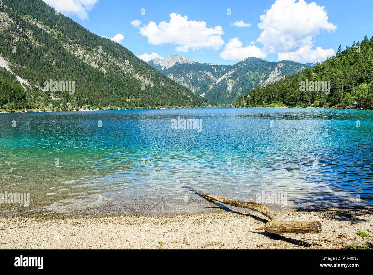 Driftwood on shore, Lake Plansee, turquoise water, mountain lake ...