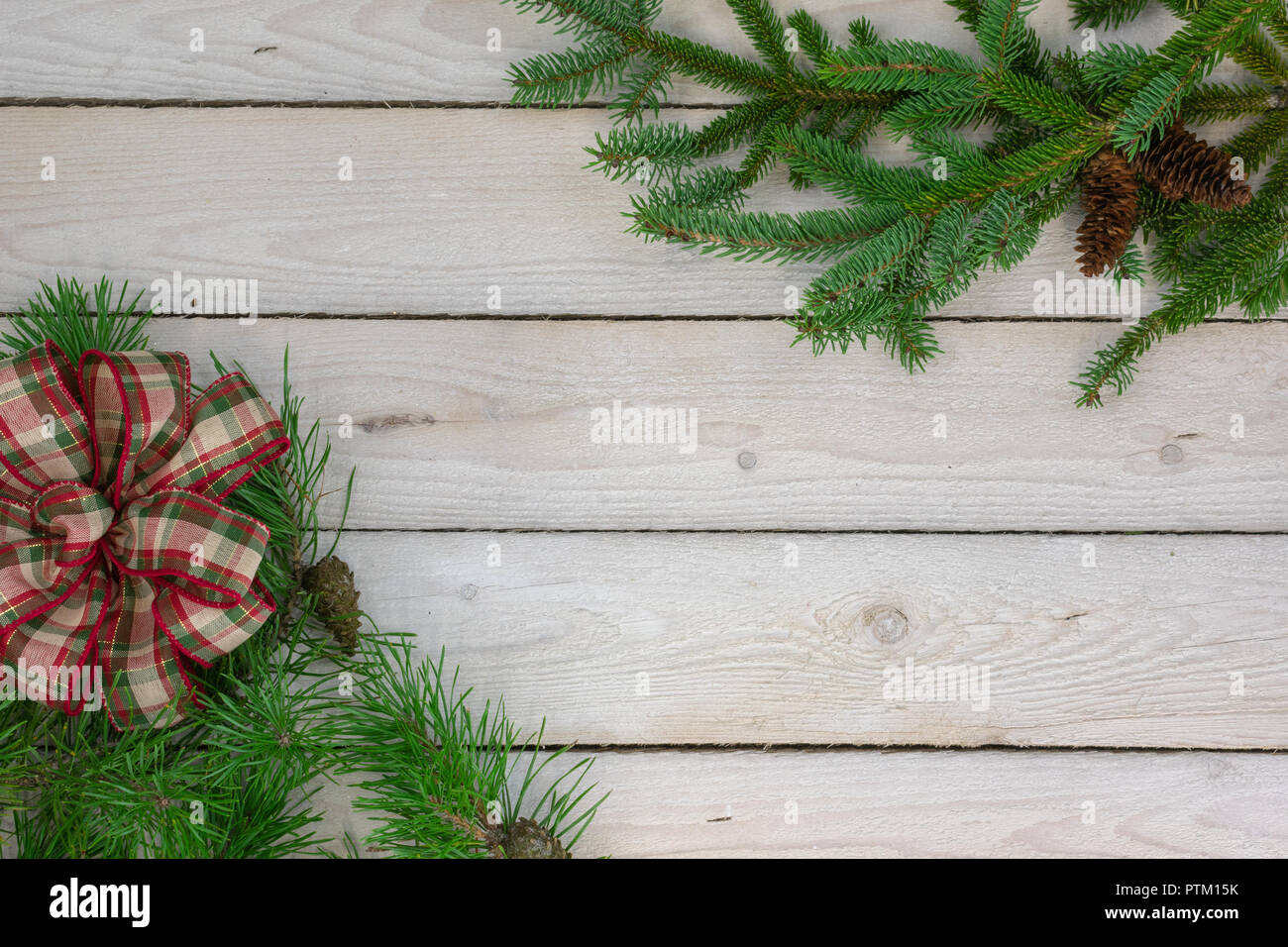 Spruce boughs in the l upper right corner and scotch pine boughs in the ...