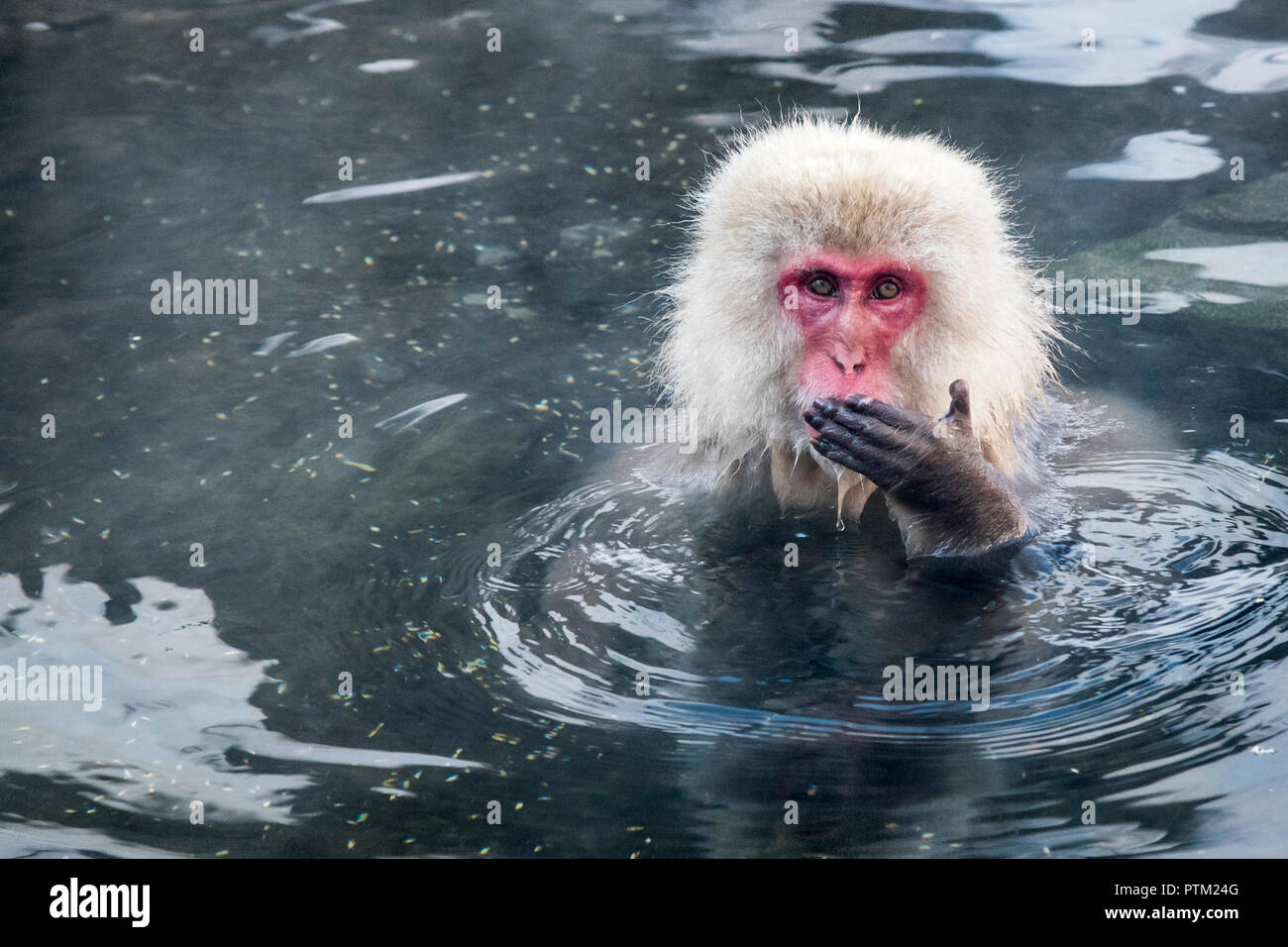 Onsen bath japanese hi-res stock photography and images - Alamy