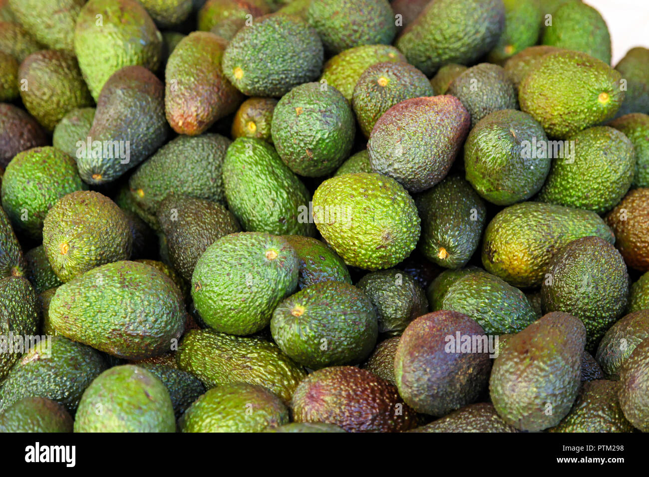 Avocados in crate hi-res stock photography and images - Alamy