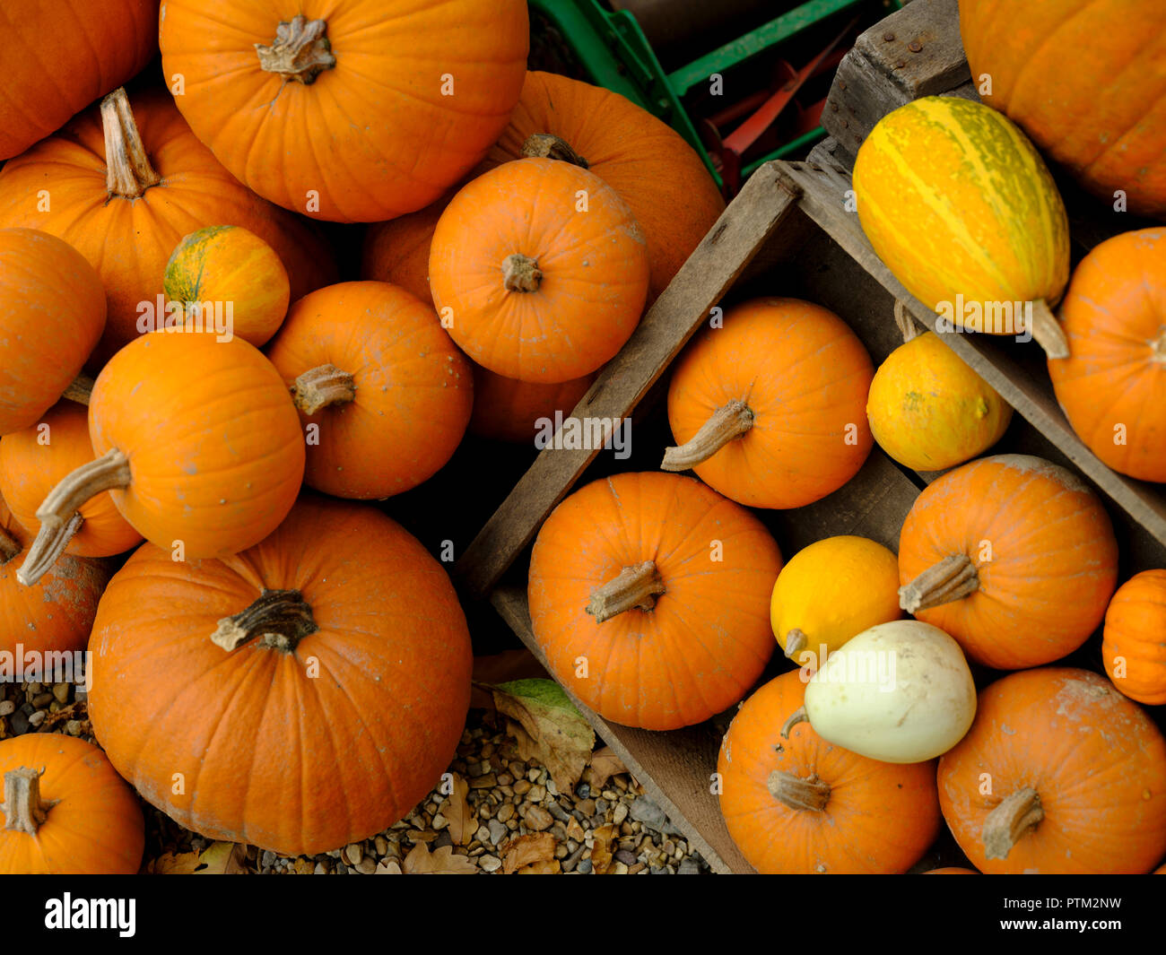 Giving thanks for harvest hi-res stock photography and images - Alamy
