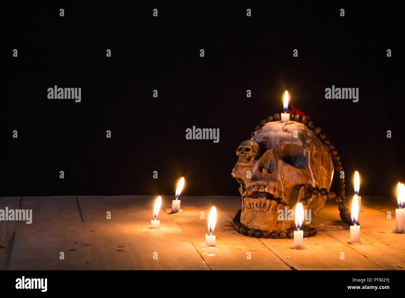 Floor of cranium hi-res stock photography and images - Alamy