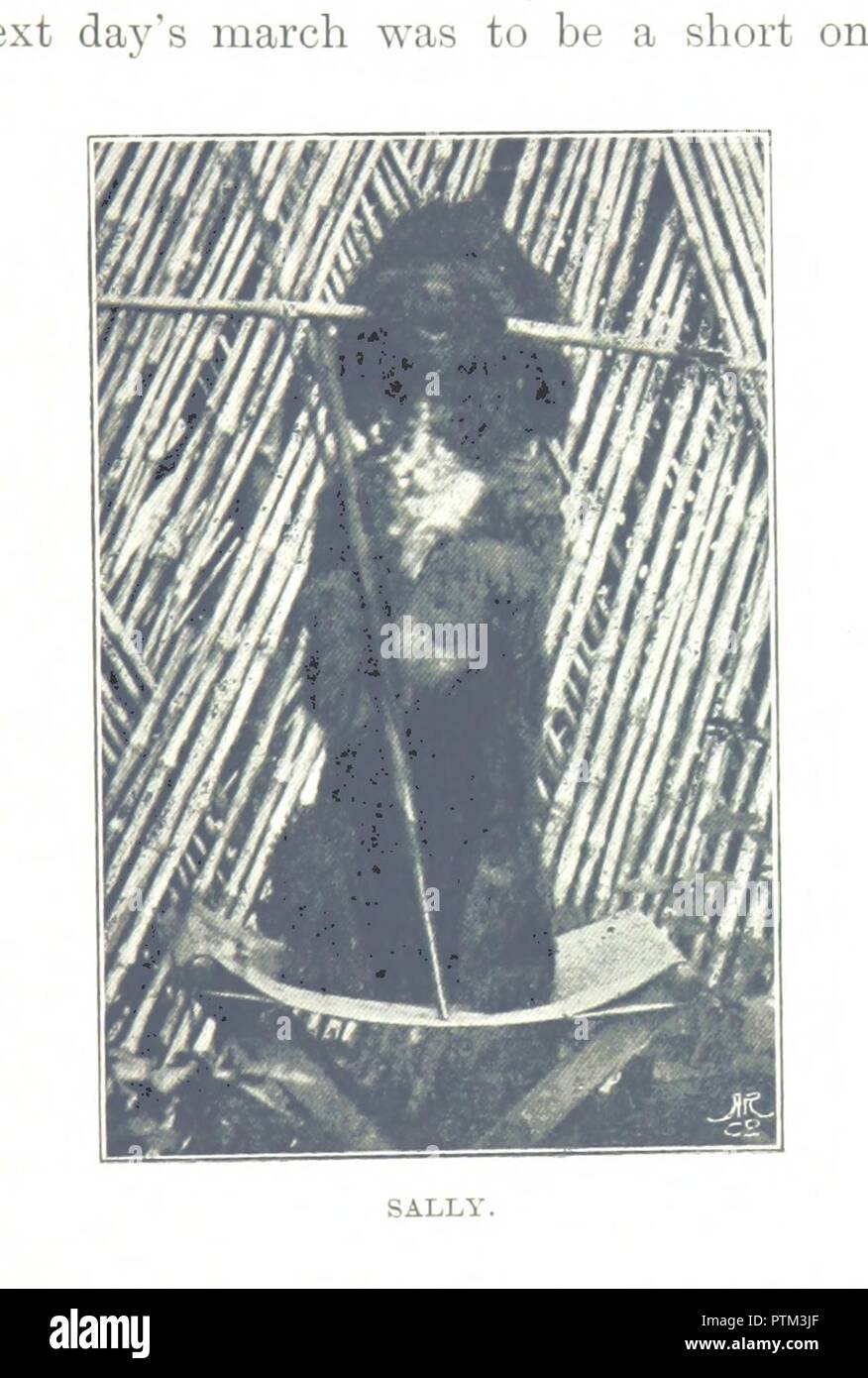 page 85 of 'In Dwarf Land and Cannibal Country. A record of travel and ...