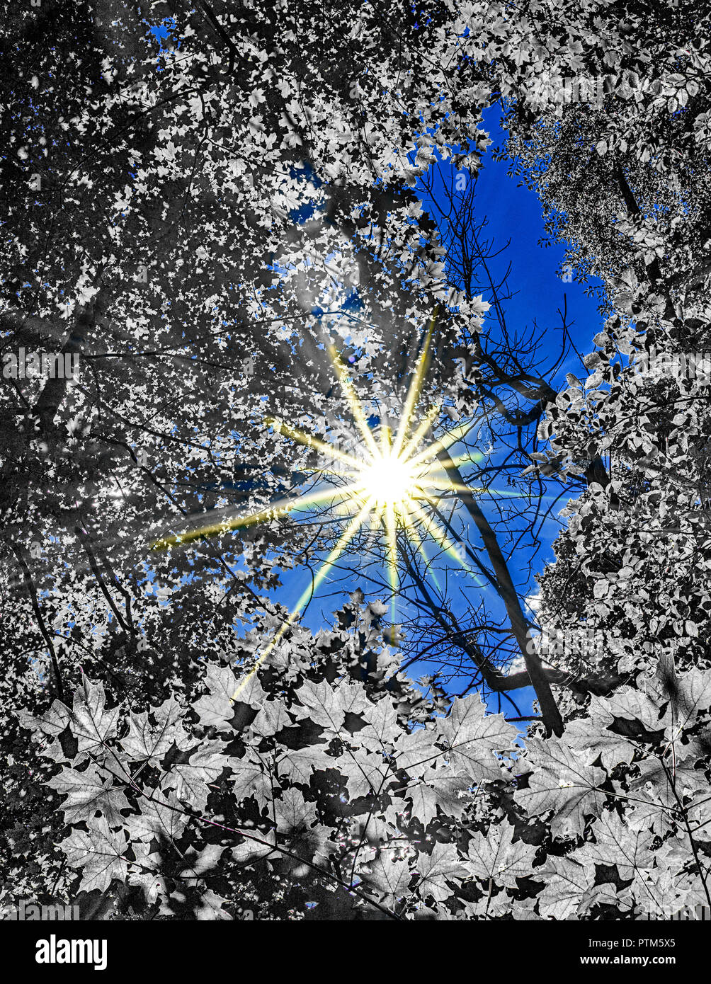 Supercolor hi-res stock photography and images - Alamy