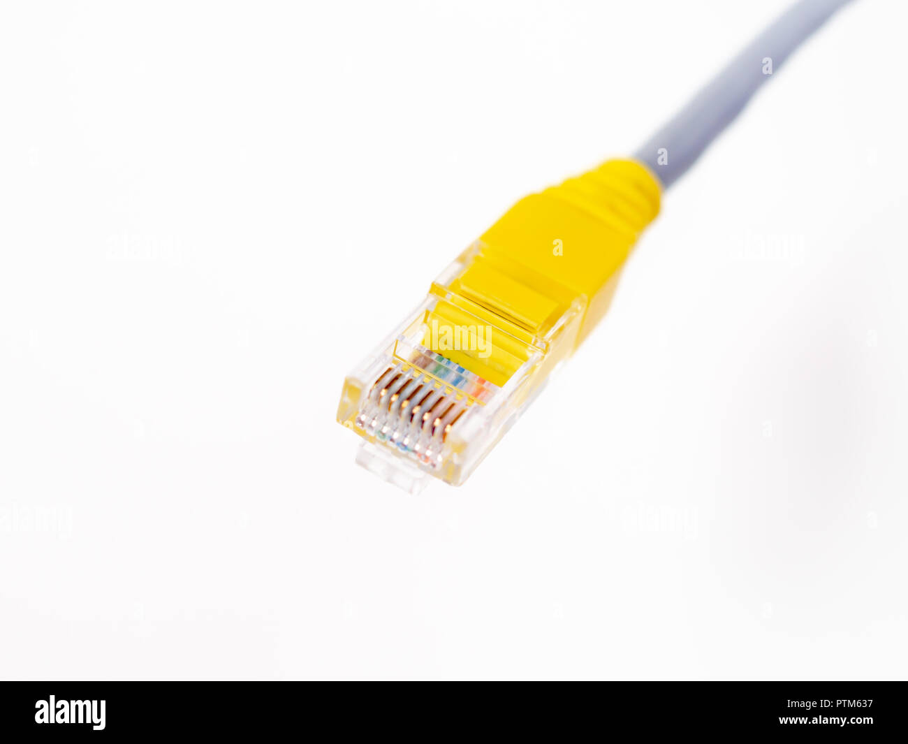 Close-p yellow and gray ethernet cable isolated on white background ...