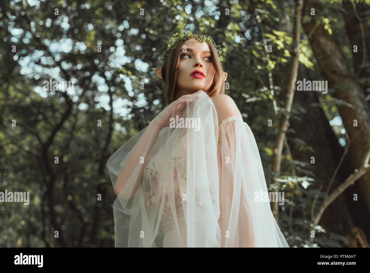 Mystic elf hi-res stock photography and images - Alamy