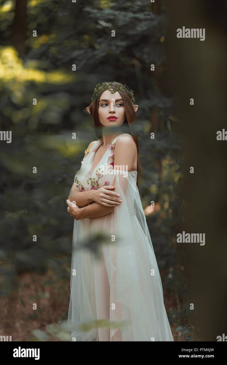 attractive girl with elf ears walking in fantasy forest Stock Photo - Alamy
