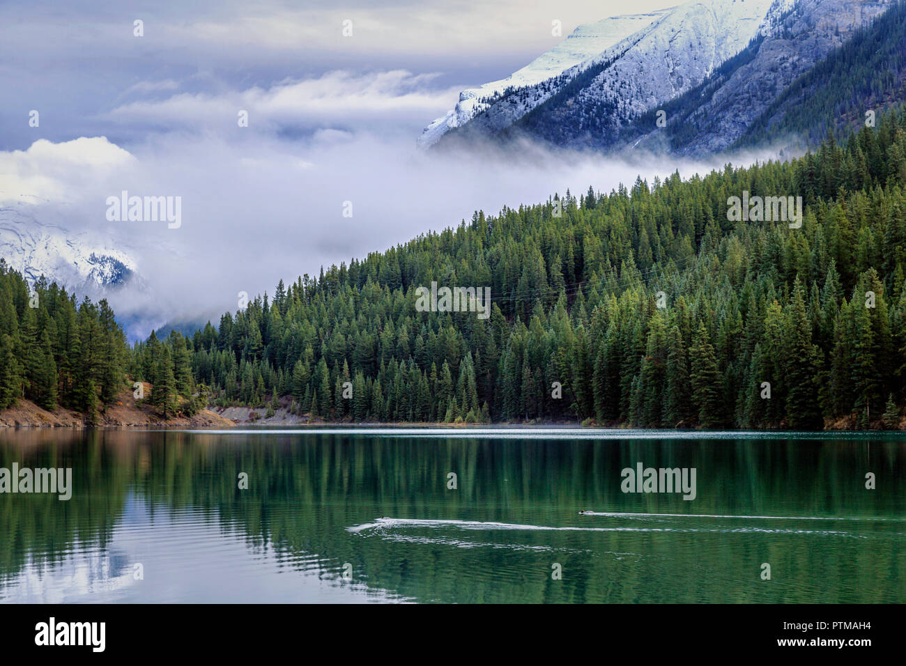 Two Jack Lake, Banff National Park, Alberta, Canada Stock Photo - Alamy