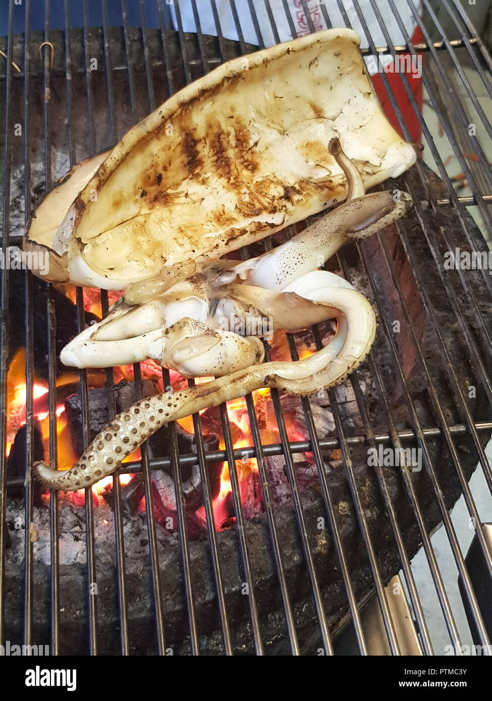 Fresh squid cook by grill on stove that use charcoal background (Street ...