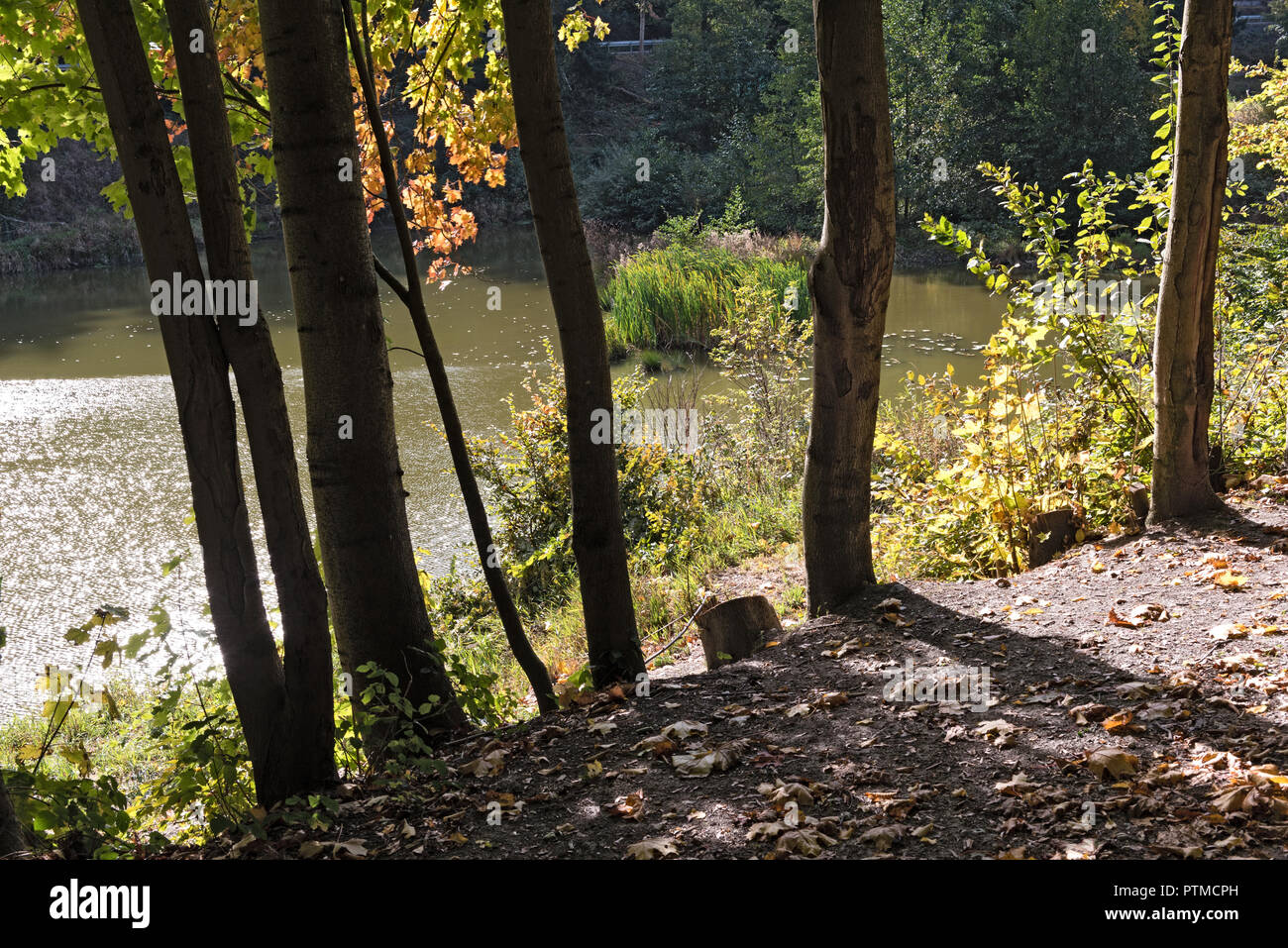 Schmitten hi-res stock photography and images - Alamy