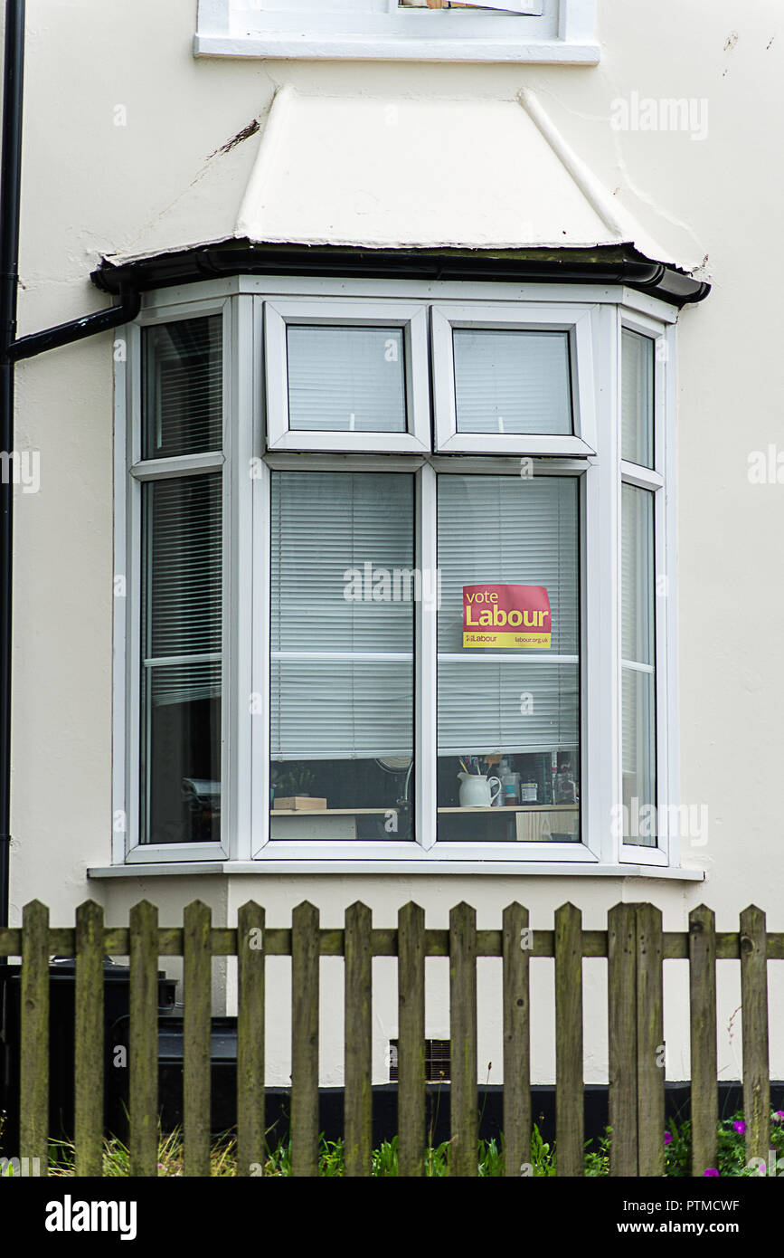 Vote Labour signs and posters on windows and doors of houses in ...
