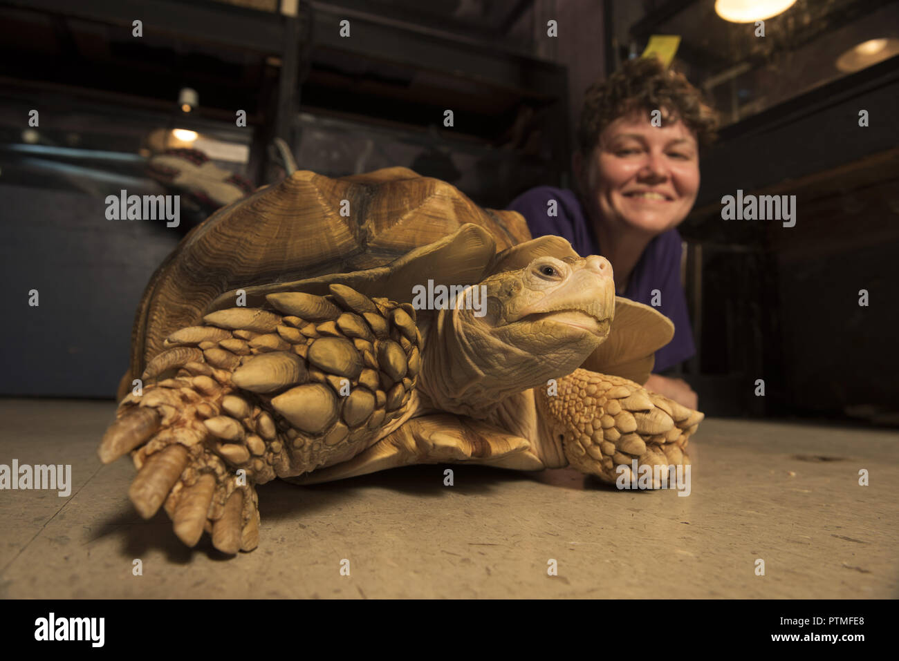 Austell, GA, USA. 31st Aug, 2018. Diego and Teri Chacon manage Austell ...