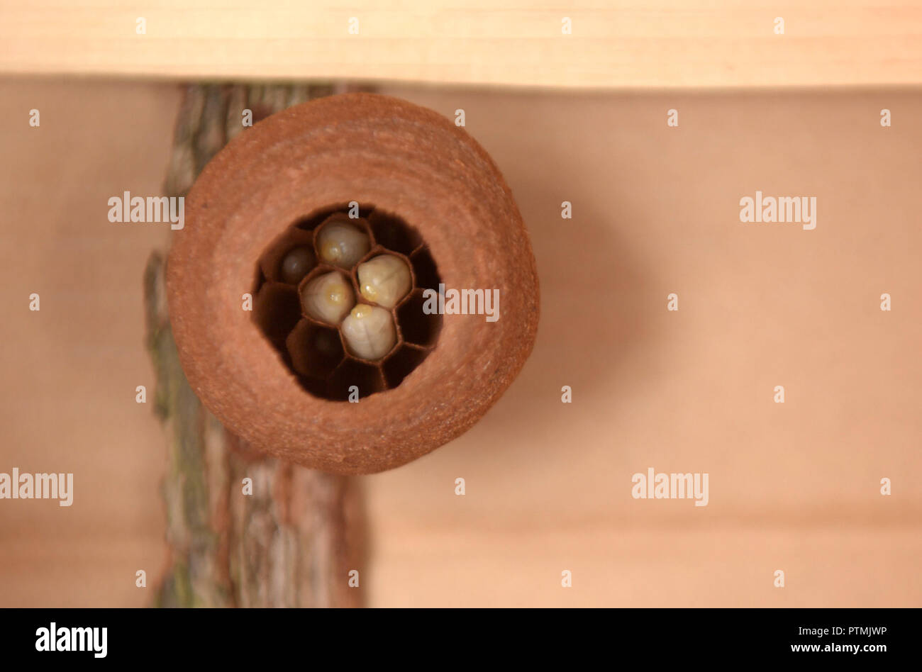 Enshi. 8th Apr, 2018. Photo taken on April 8, 2018 shows a man-made ...