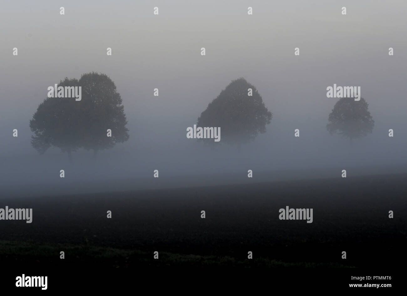 Asel, Lower Saxony. 10th Oct, 2018. Deciduous trees stand in the fog in ...