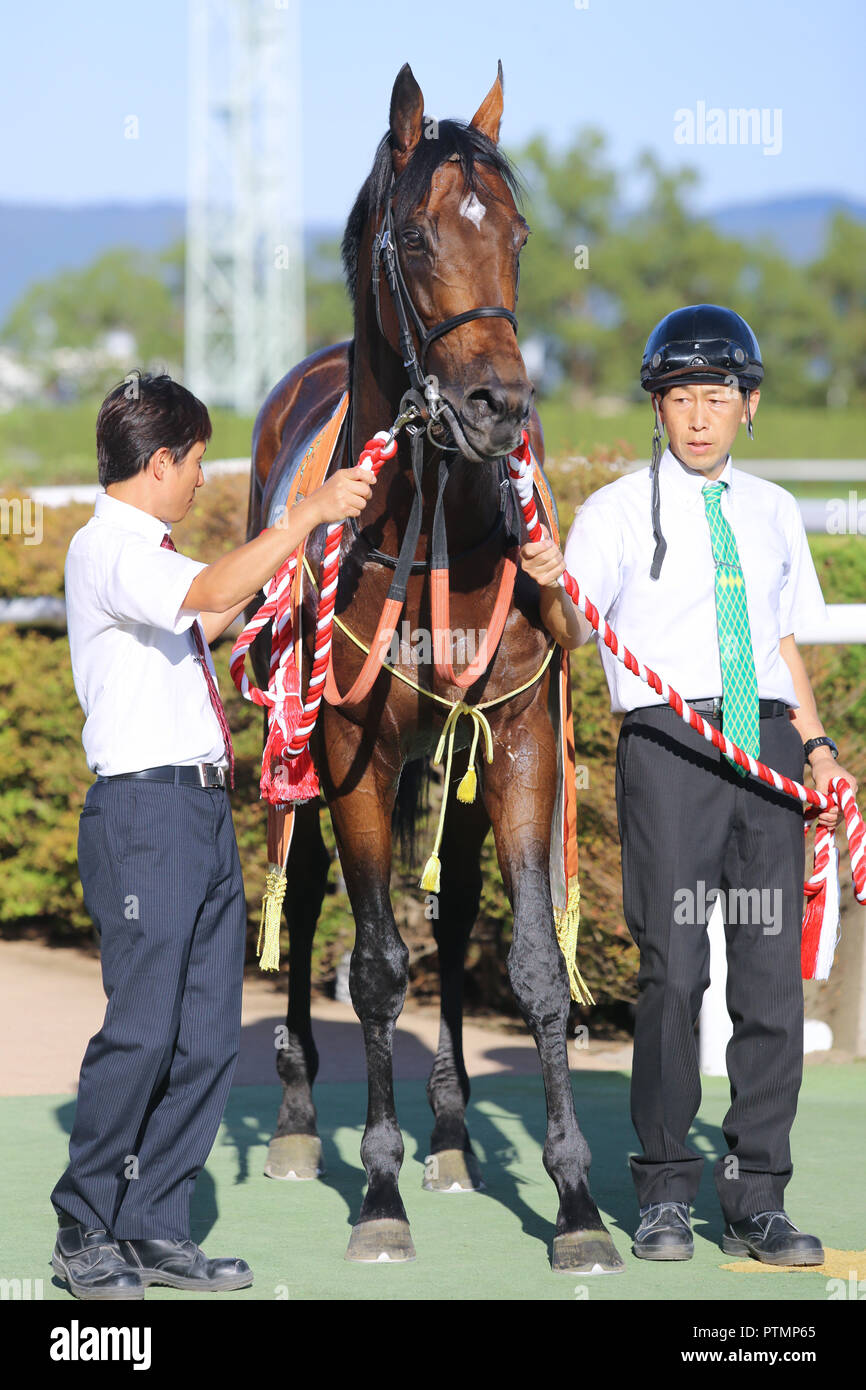 Kyoto, Japan. 8th Oct, 2018. Satono Diamond Horse Racing : Satono ...