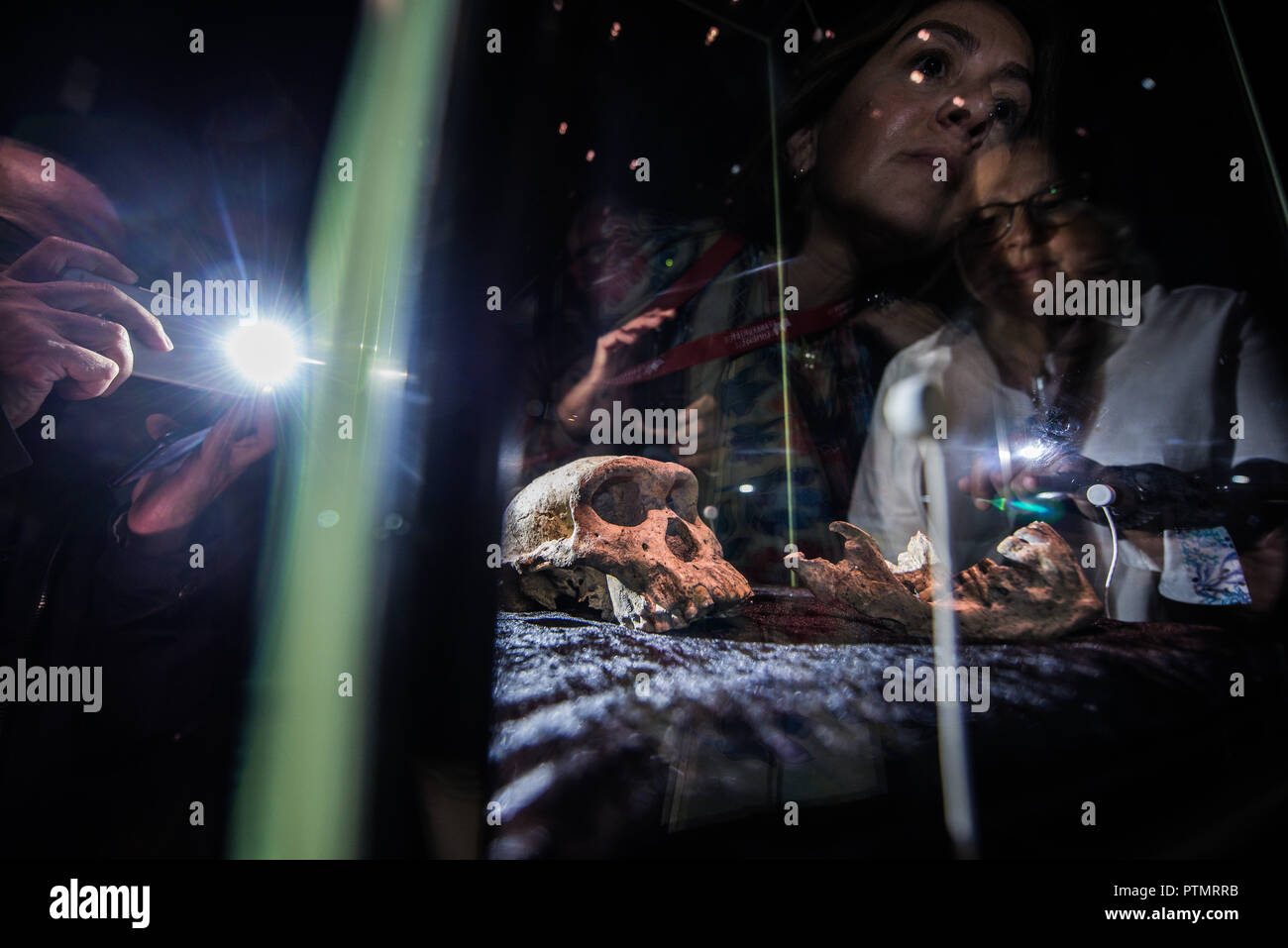 The first europeans skull hi-res stock photography and images - Alamy