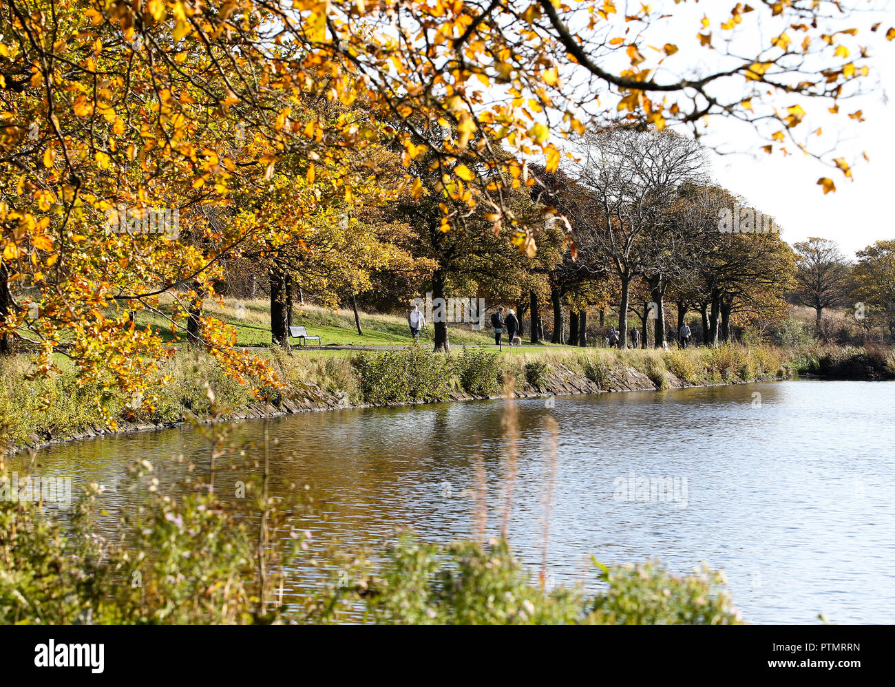 Glasgow hogganfield park loch hi-res stock photography and images - Alamy
