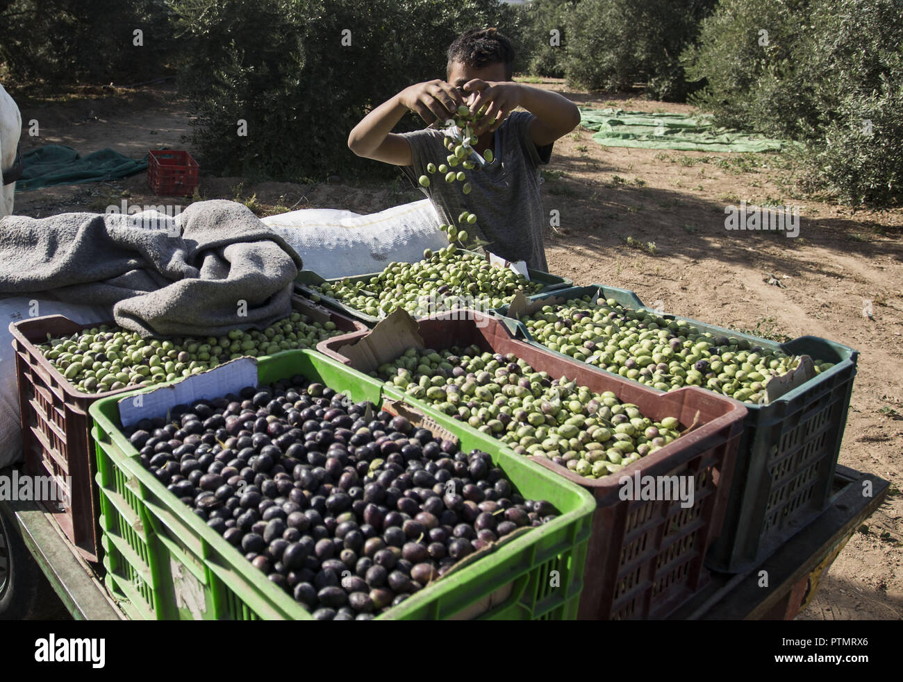 Gaza City, The Gaza Strip, Palestine. 9th Oct, 2018. Palestinian ...