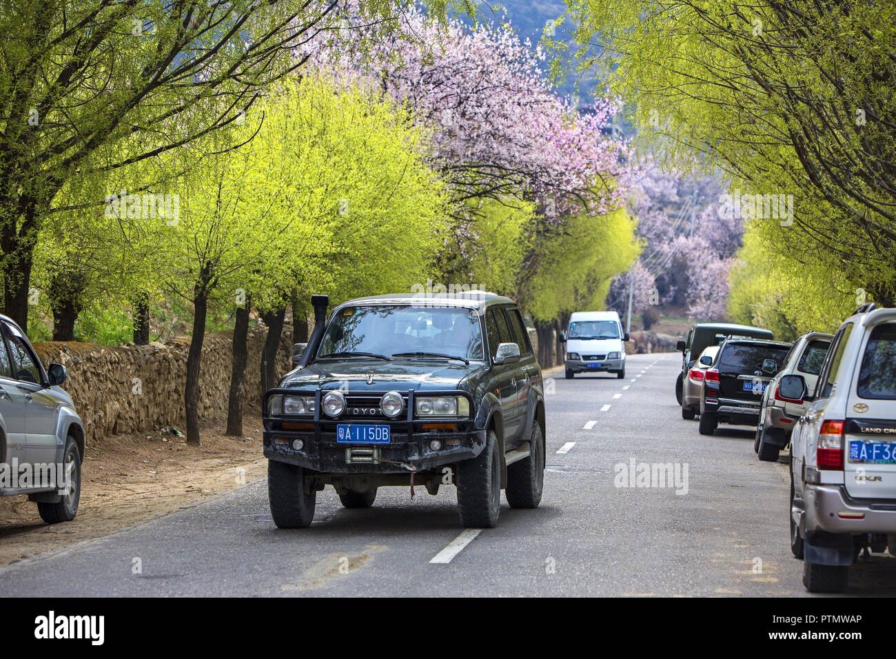 October 10, 2018 - Nyingchi, Nyingchi, China - Nyingchi,CHINA-Stunning ...
