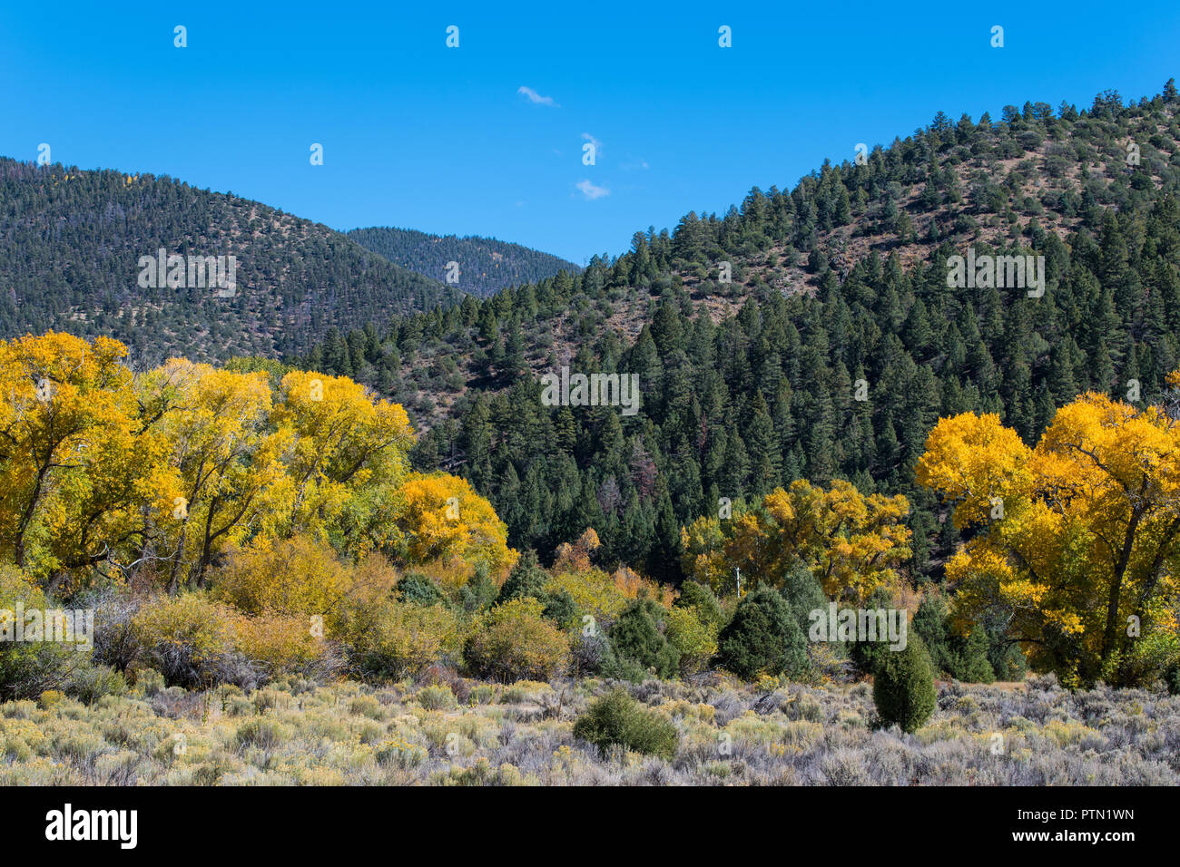 Autumn new mexico hi-res stock photography and images - Alamy