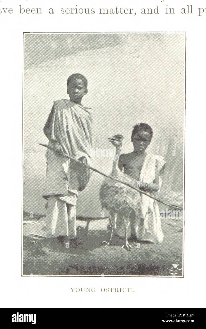 Dwarf land Cut Out Stock Images & Pictures - Alamy