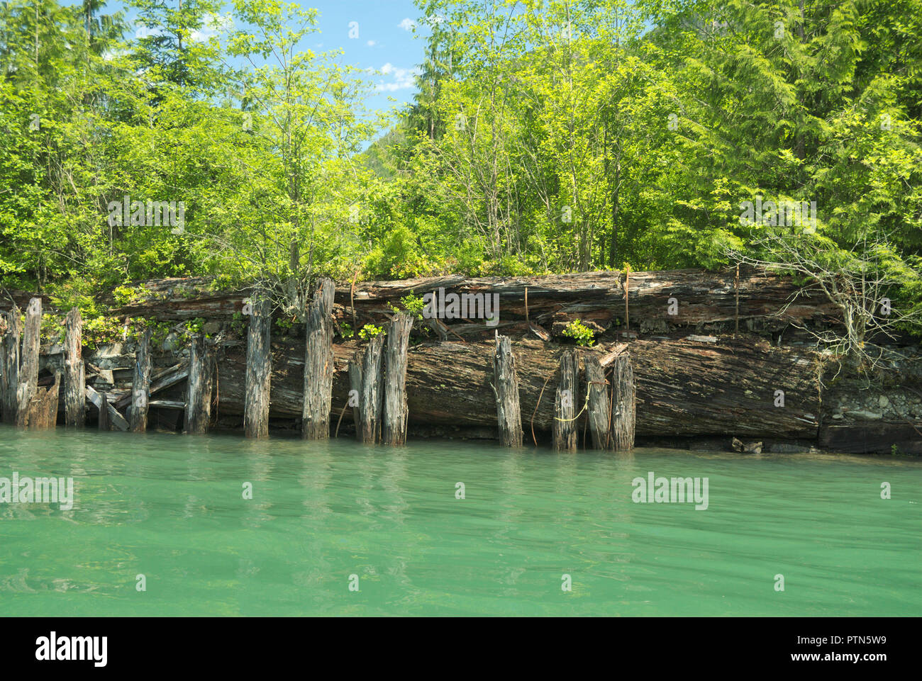 Remains of an old dock at the north end on Stave Lake, Mission, British ...
