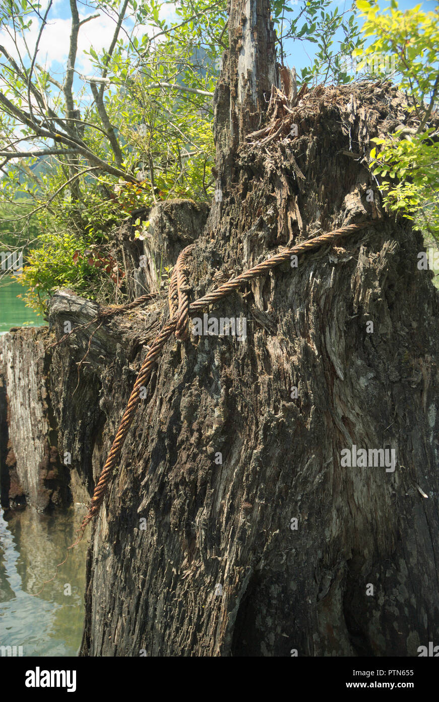 Relics Bygone Era High Resolution Stock Photography and Images - Alamy