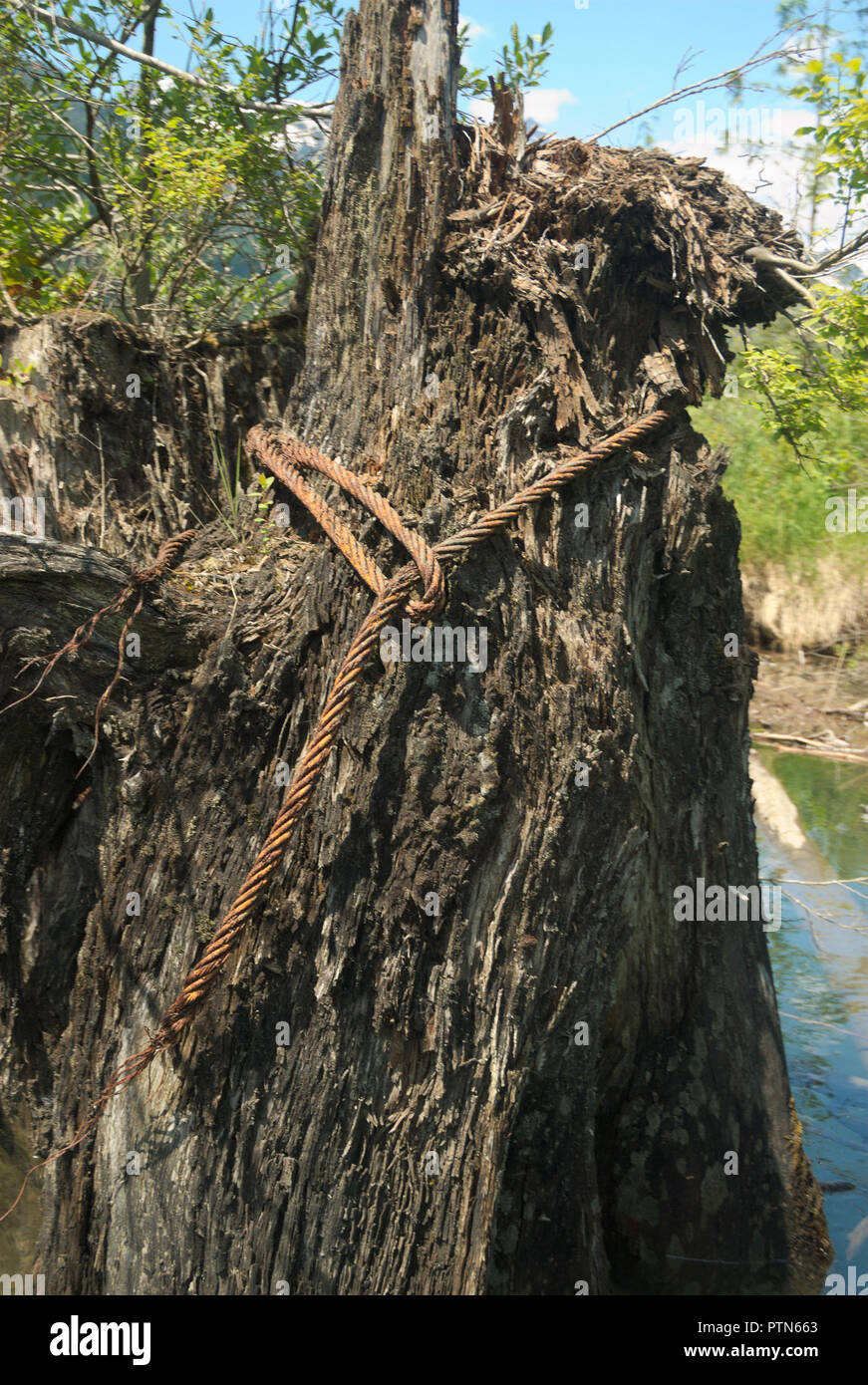 Logging era hi-res stock photography and images - Alamy
