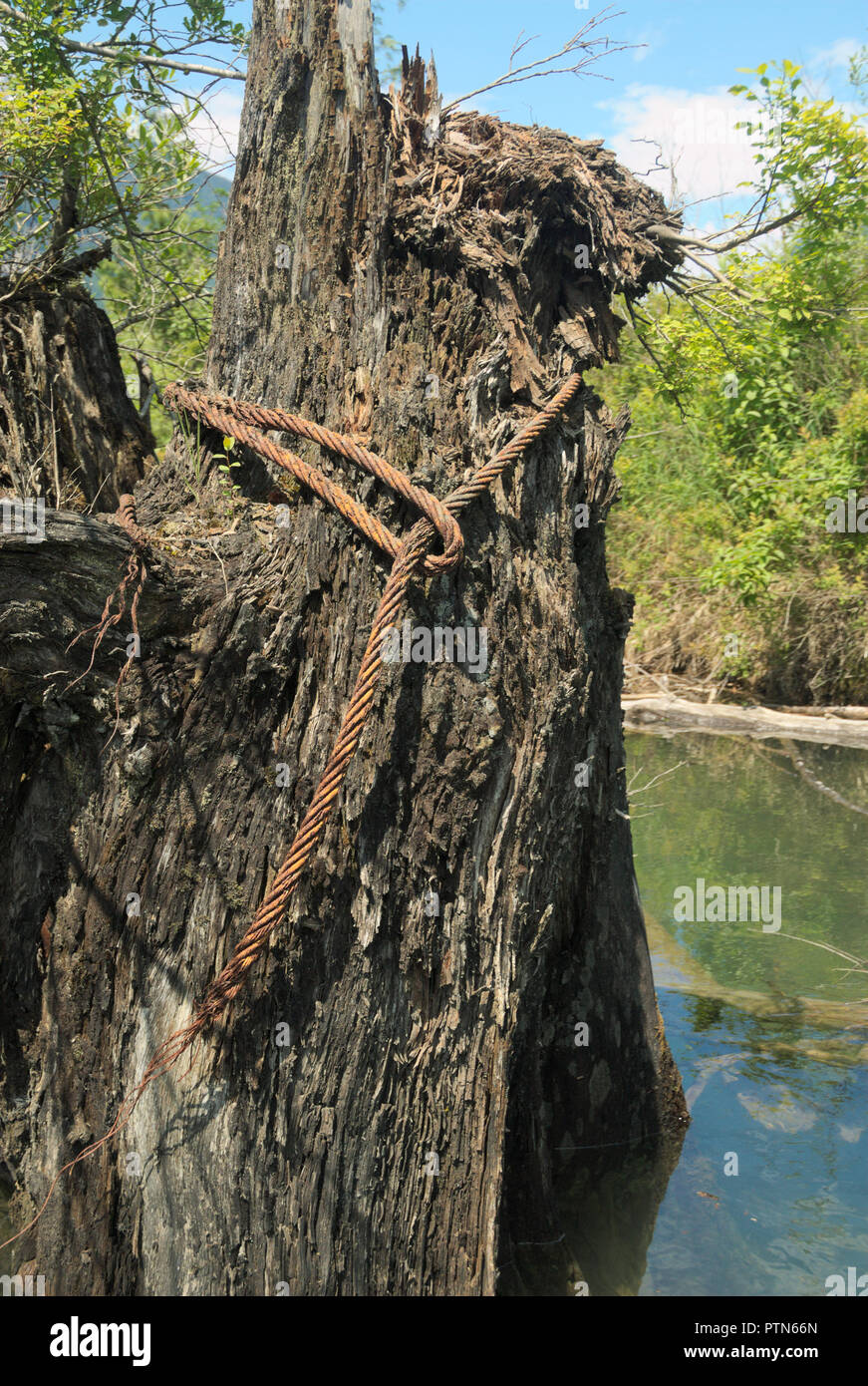 Logging cable hi-res stock photography and images - Alamy