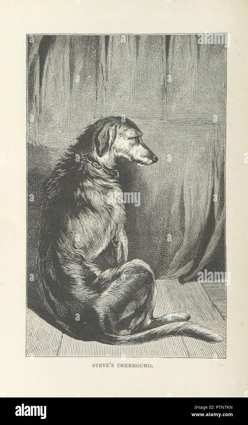 page 234 of 'Kenneth McAlpine a tale of mountain, moorland, and sea ...