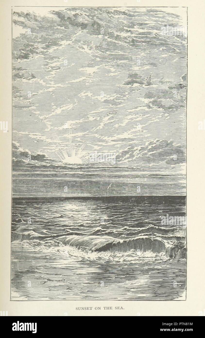 page 243 of 'Kenneth McAlpine a tale of mountain, moorland, and sea ...