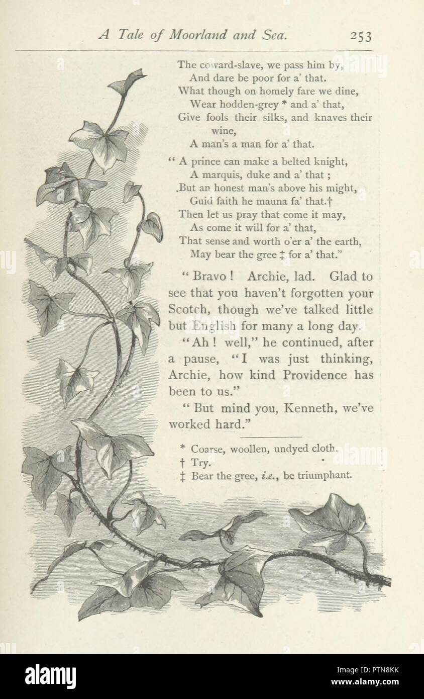 page 257 of 'Kenneth McAlpine a tale of mountain, moorland, and sea ...