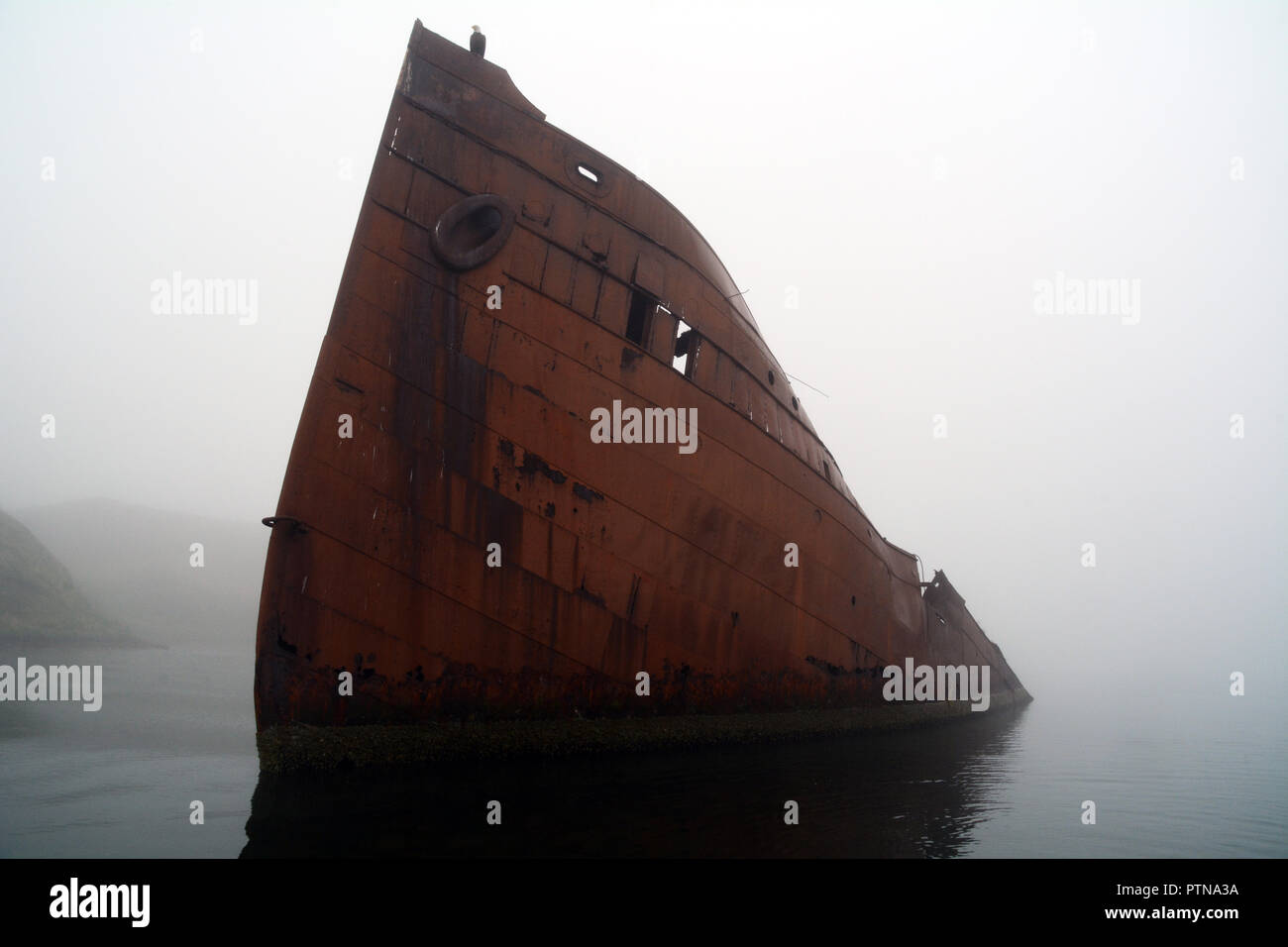 The shipwreck of the the US Navy ship SS Northwestern, bombed by the ...