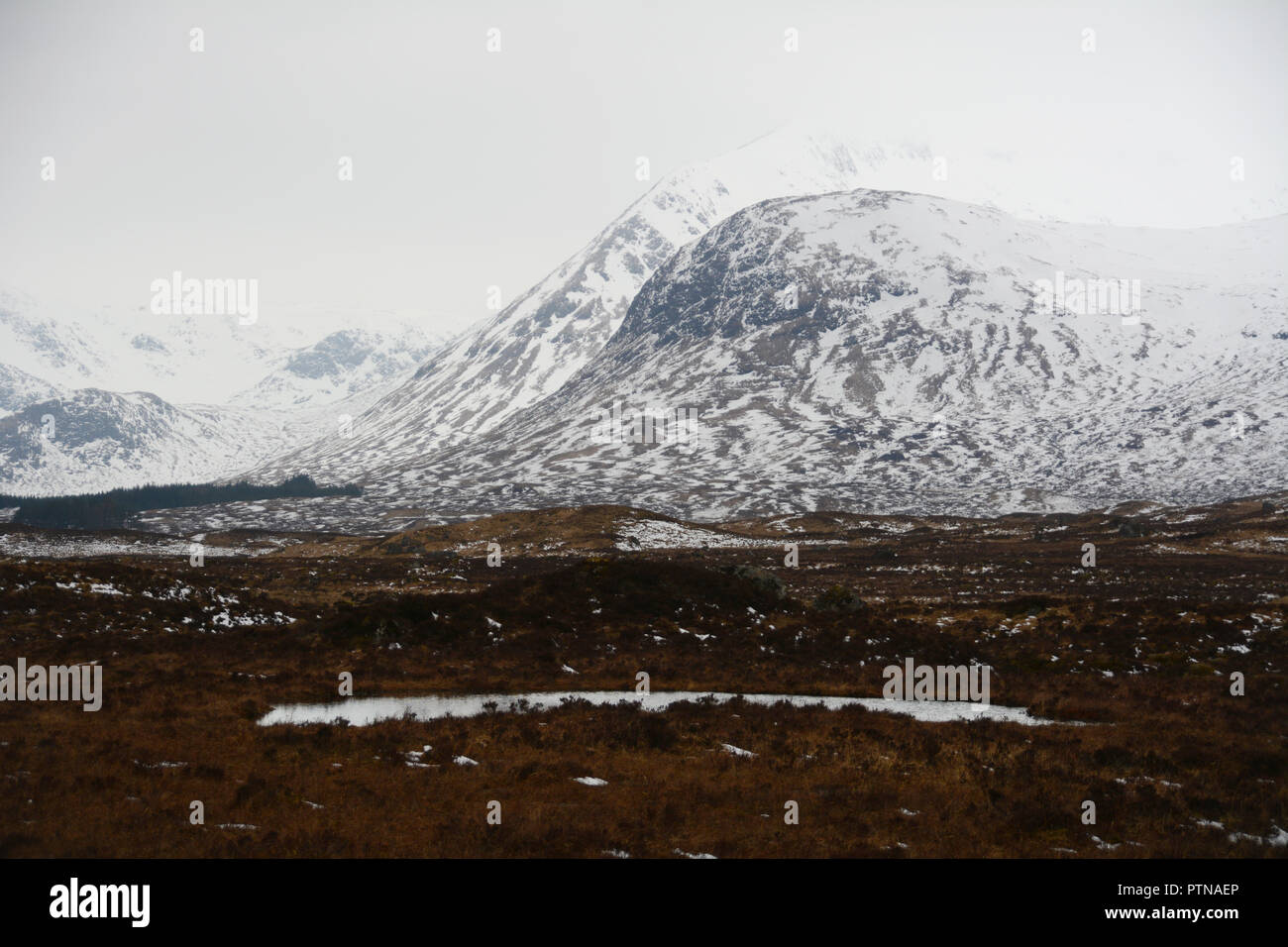 The snow covered mountains of the Black Mount range amid the boggy ...
