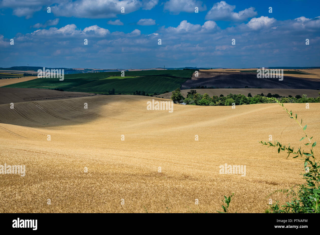 Moravian fields people hi-res stock photography and images - Alamy