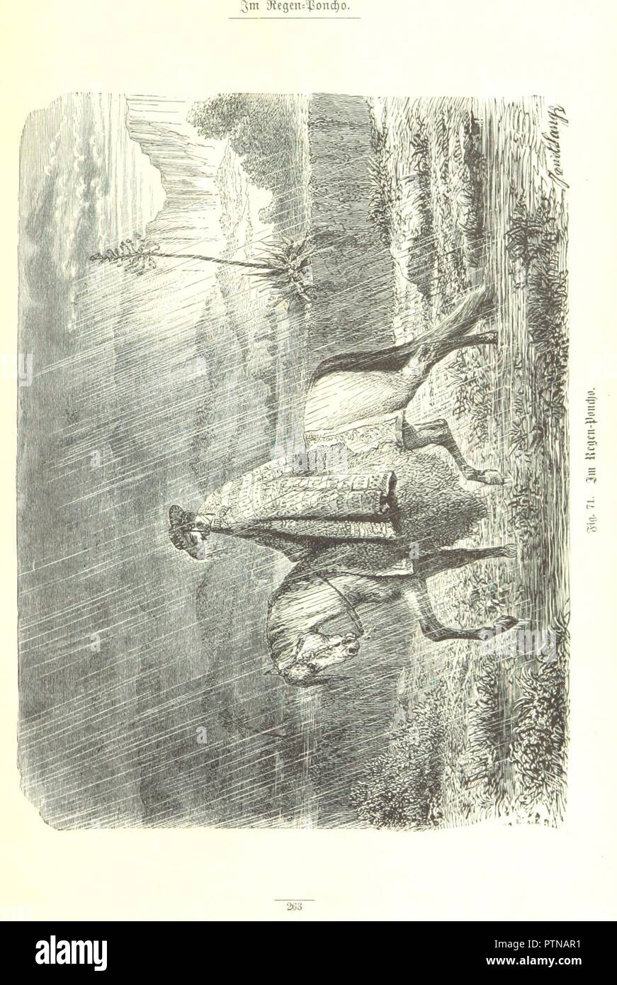 page 303 of '[Nach Ecuador. Reisebilder . Zweite, vermehrte Auflage ...