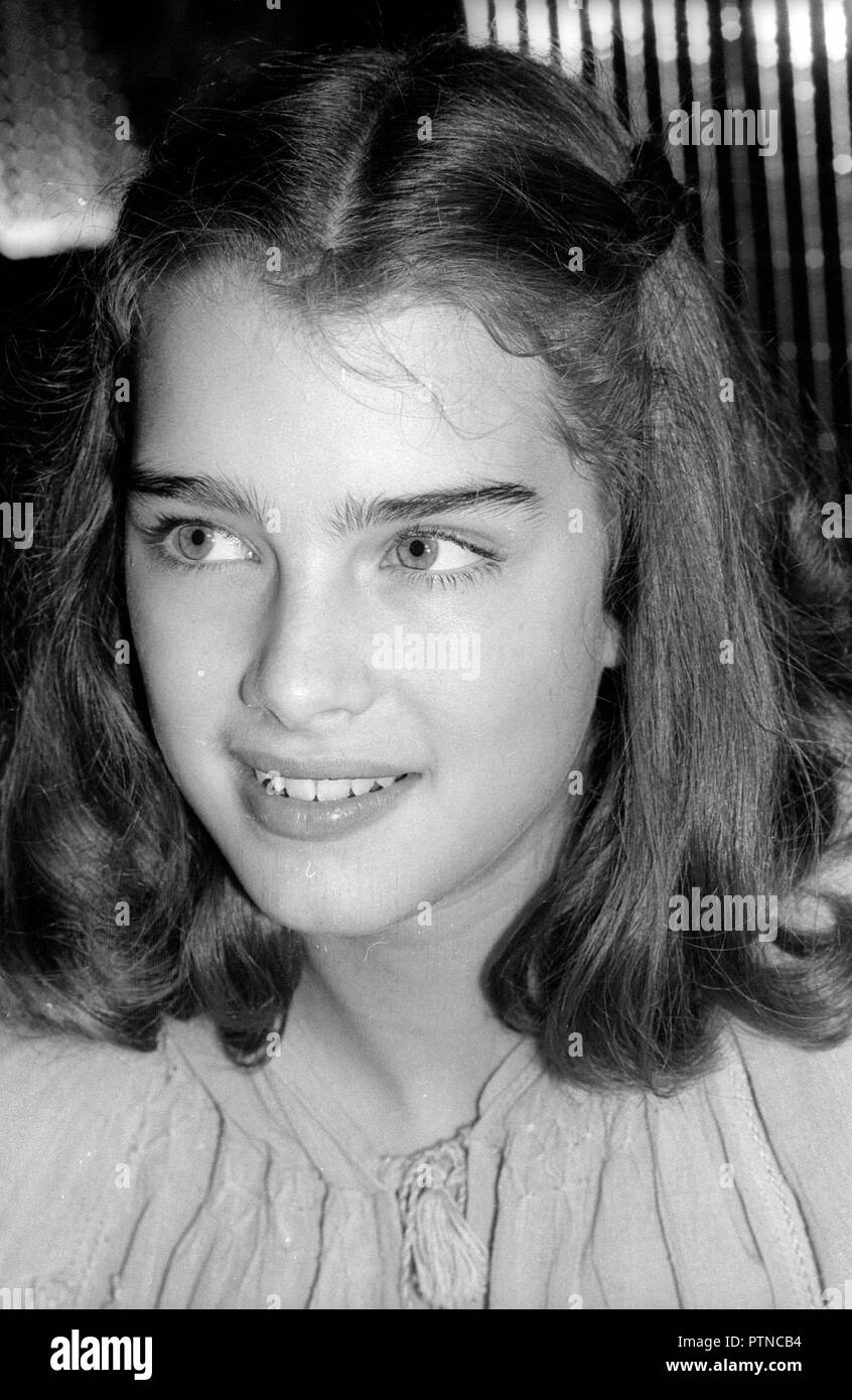 Teri Shields's Instagram, Twitter & Facebook on IDCrawl