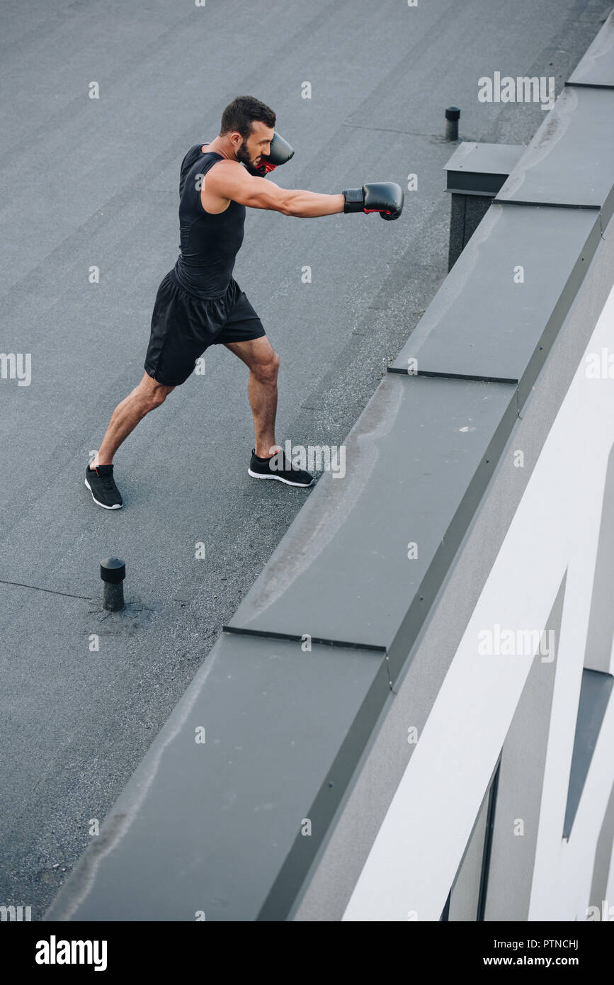 side view of boxer training on roof Stock Photo - Alamy