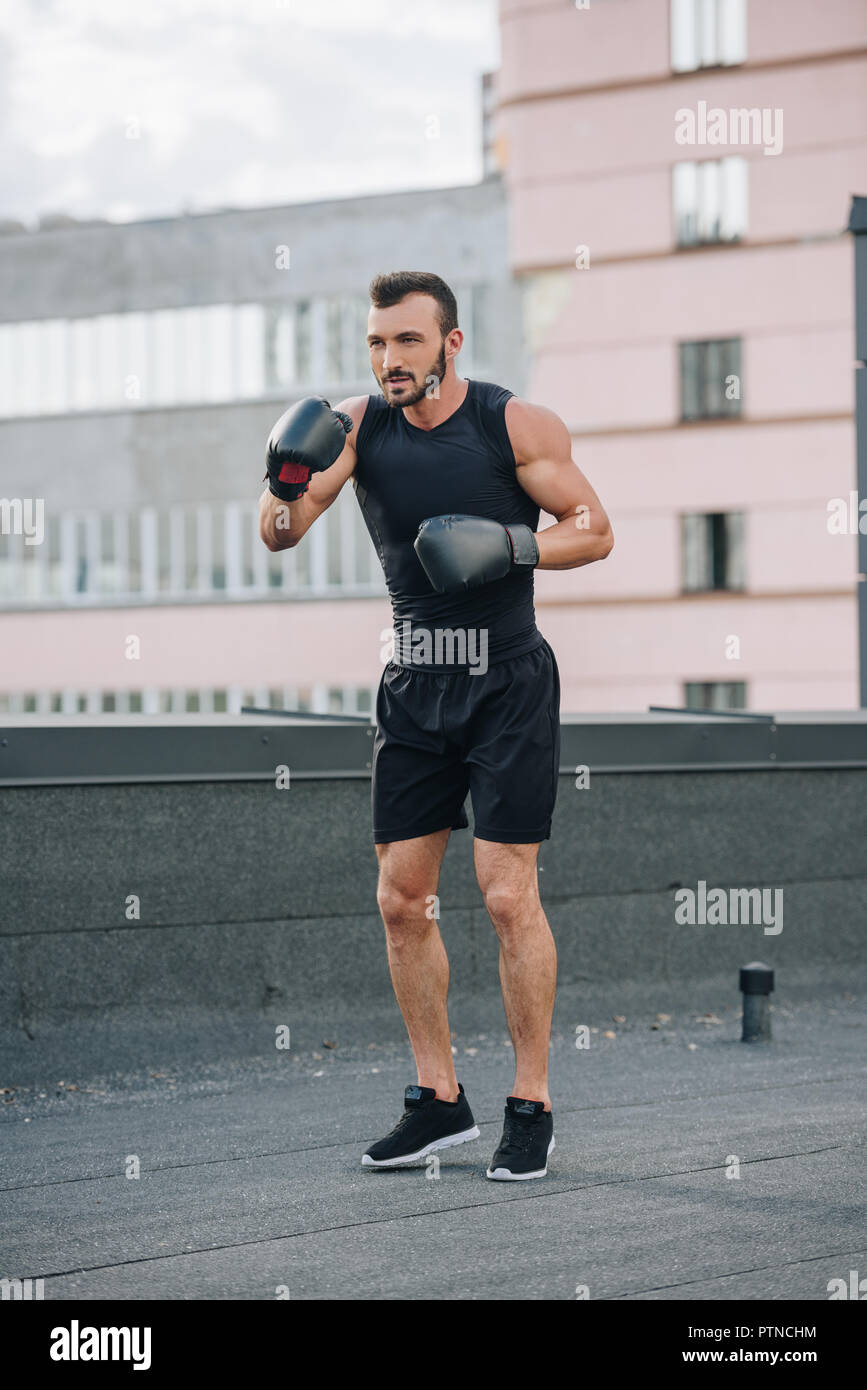 handsome boxer training on roof with black boxing gloves Stock Photo ...