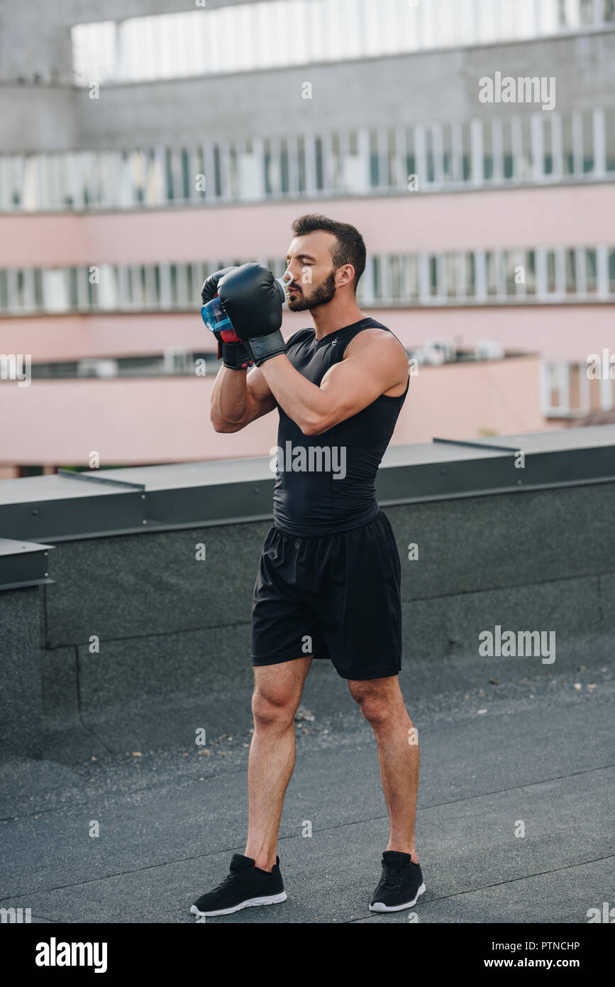 Boxer drinking water from hi-res stock photography and images - Alamy