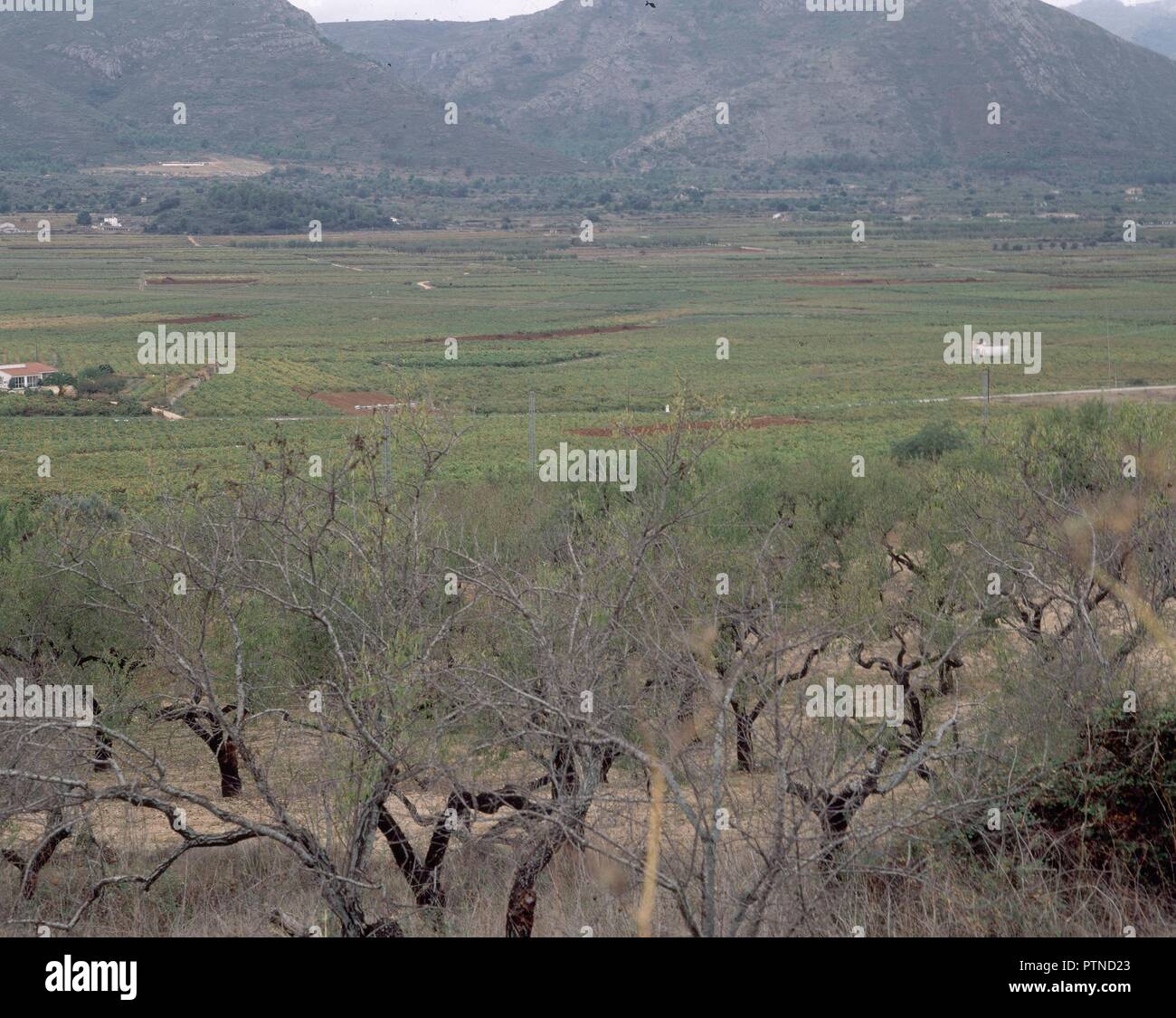 Jalon valley spain hi-res stock photography and images - Alamy
