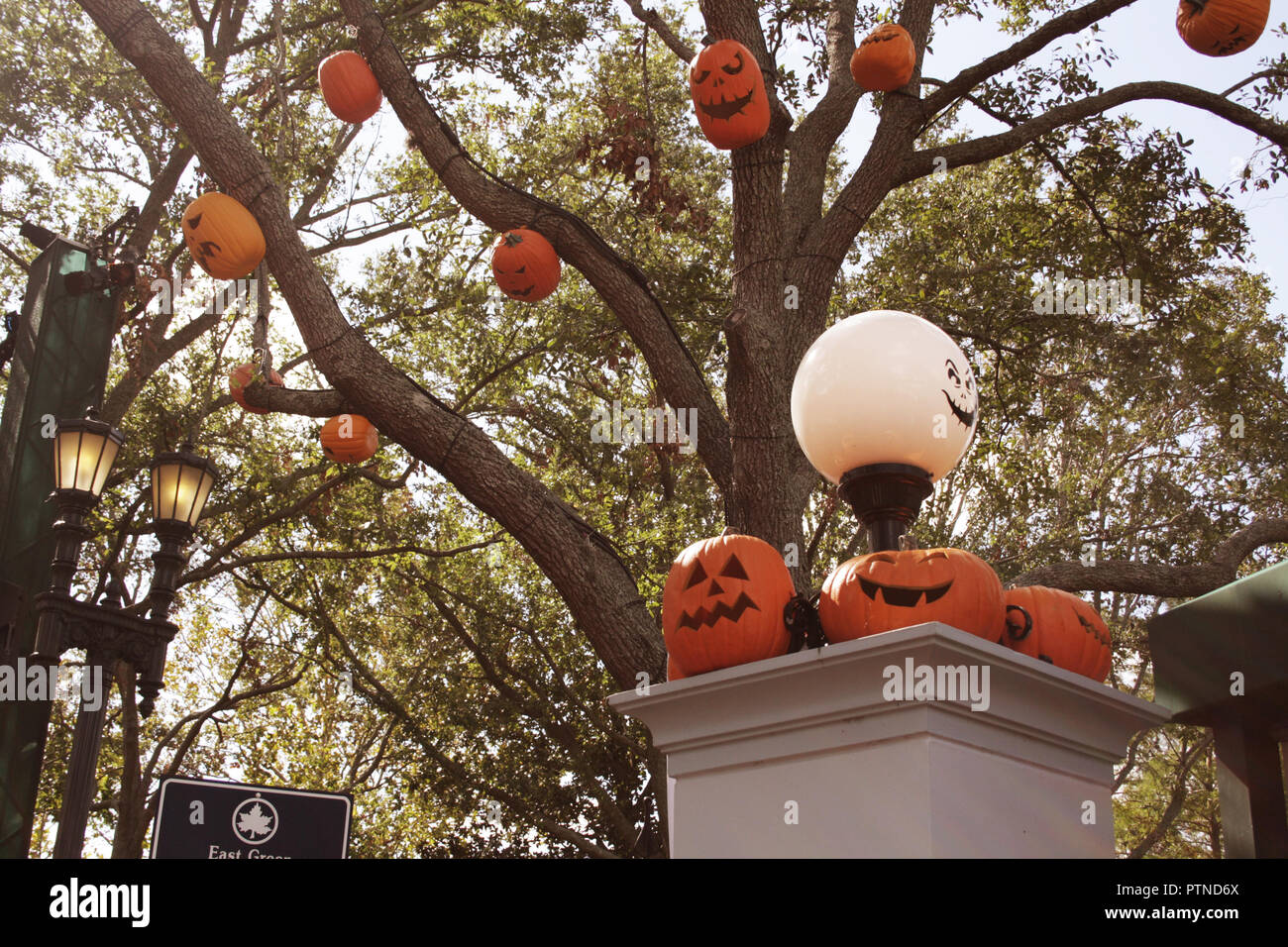 Halloween mania at Universal Studios Florida during the Fall of 2017 ...