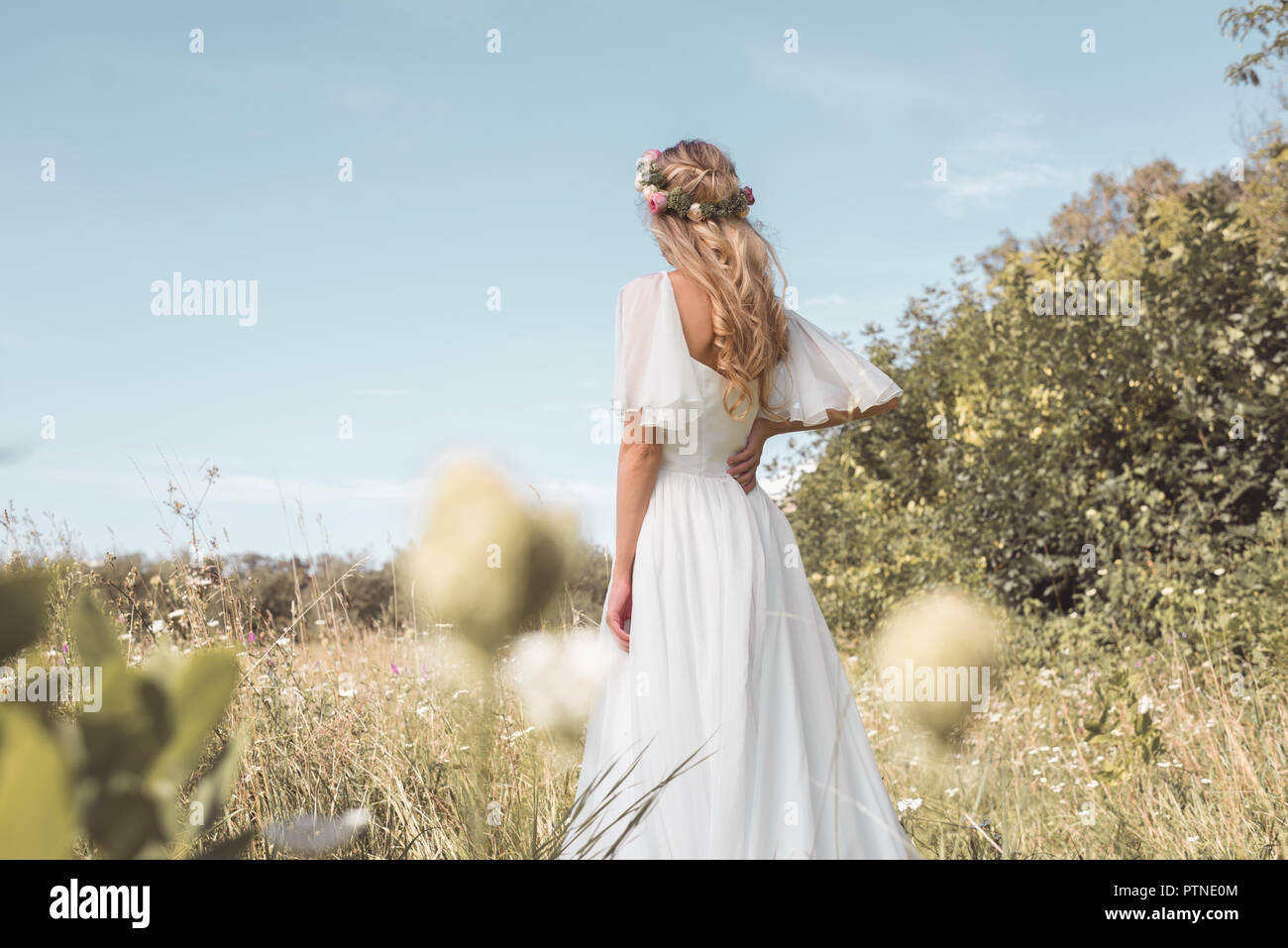 back view of tender young blonde bride walking on beautiful field Stock ...