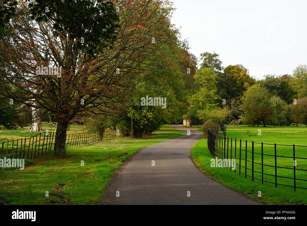 Deane hi-res stock photography and images - Alamy