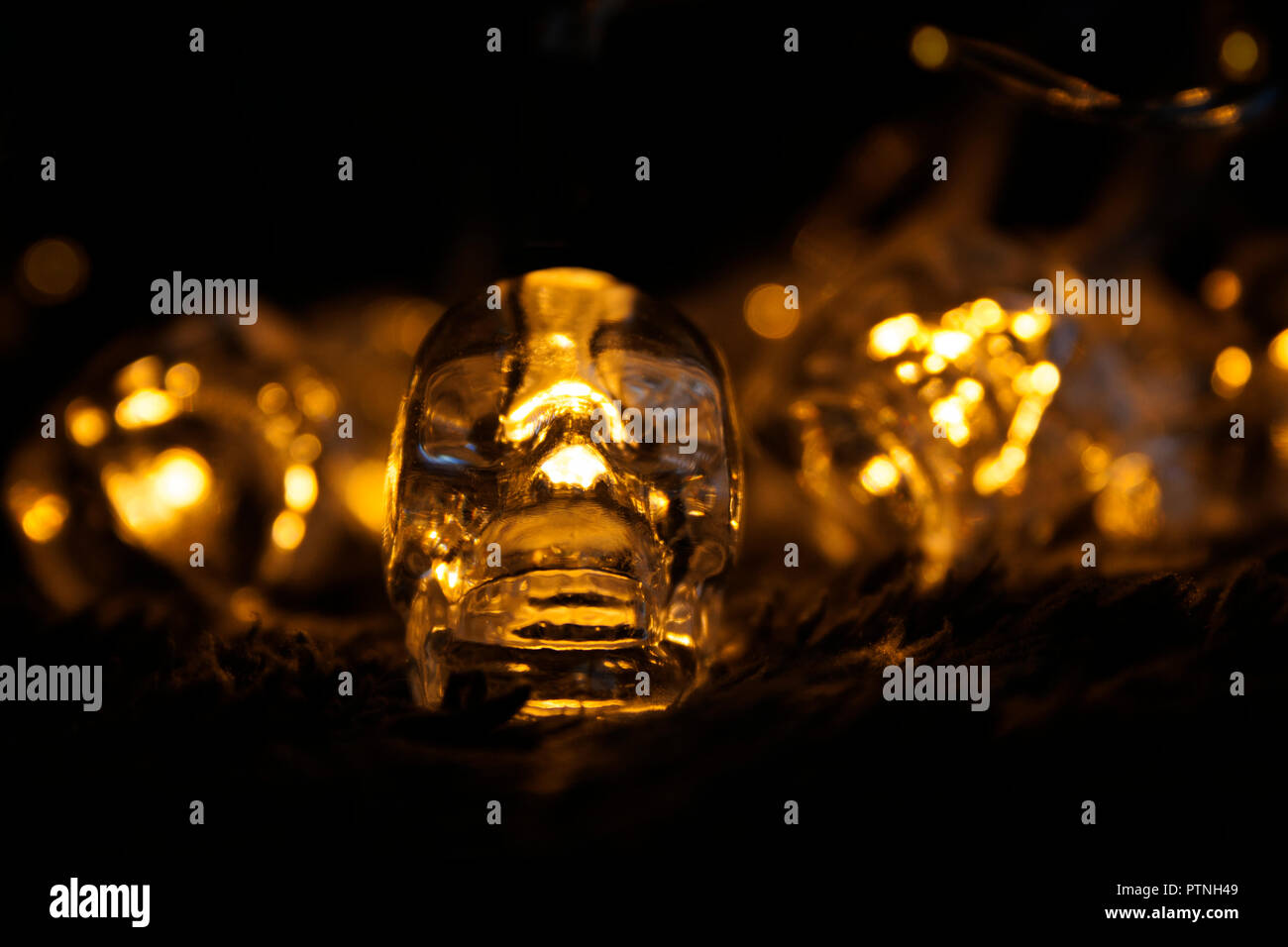Human skull with light bulb hi-res stock photography and images - Alamy