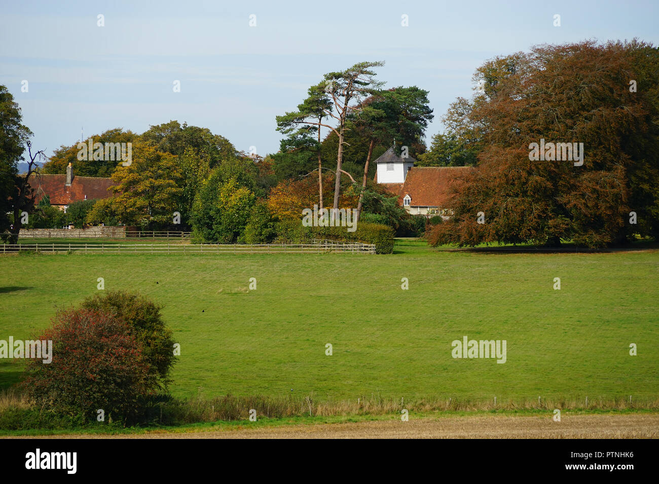 Dummer Church viewed from the Wayfarer's Walk Stock Photo - Alamy