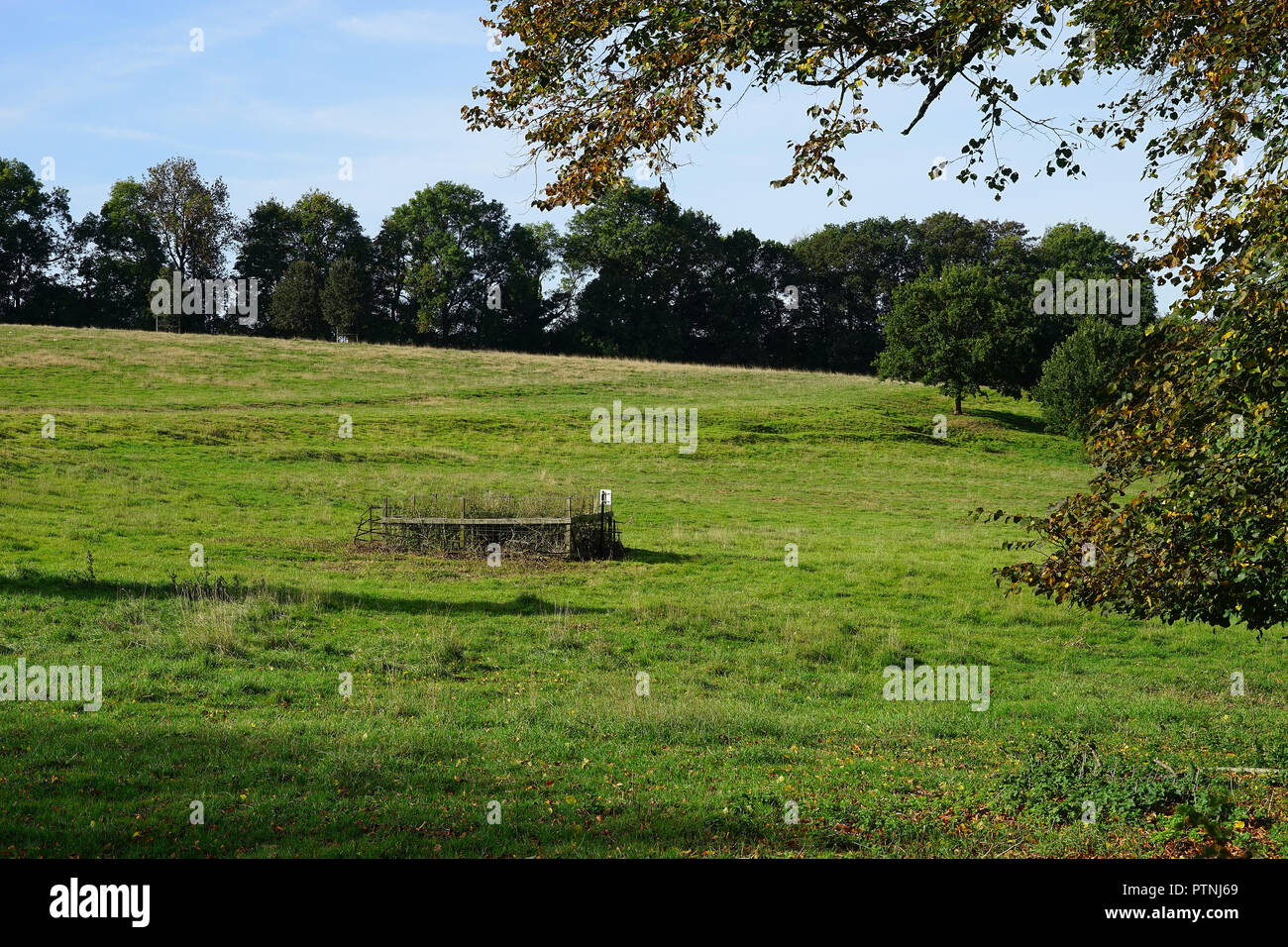 Jane Austen's birthplace - the site of the old rectory at Steventon ...