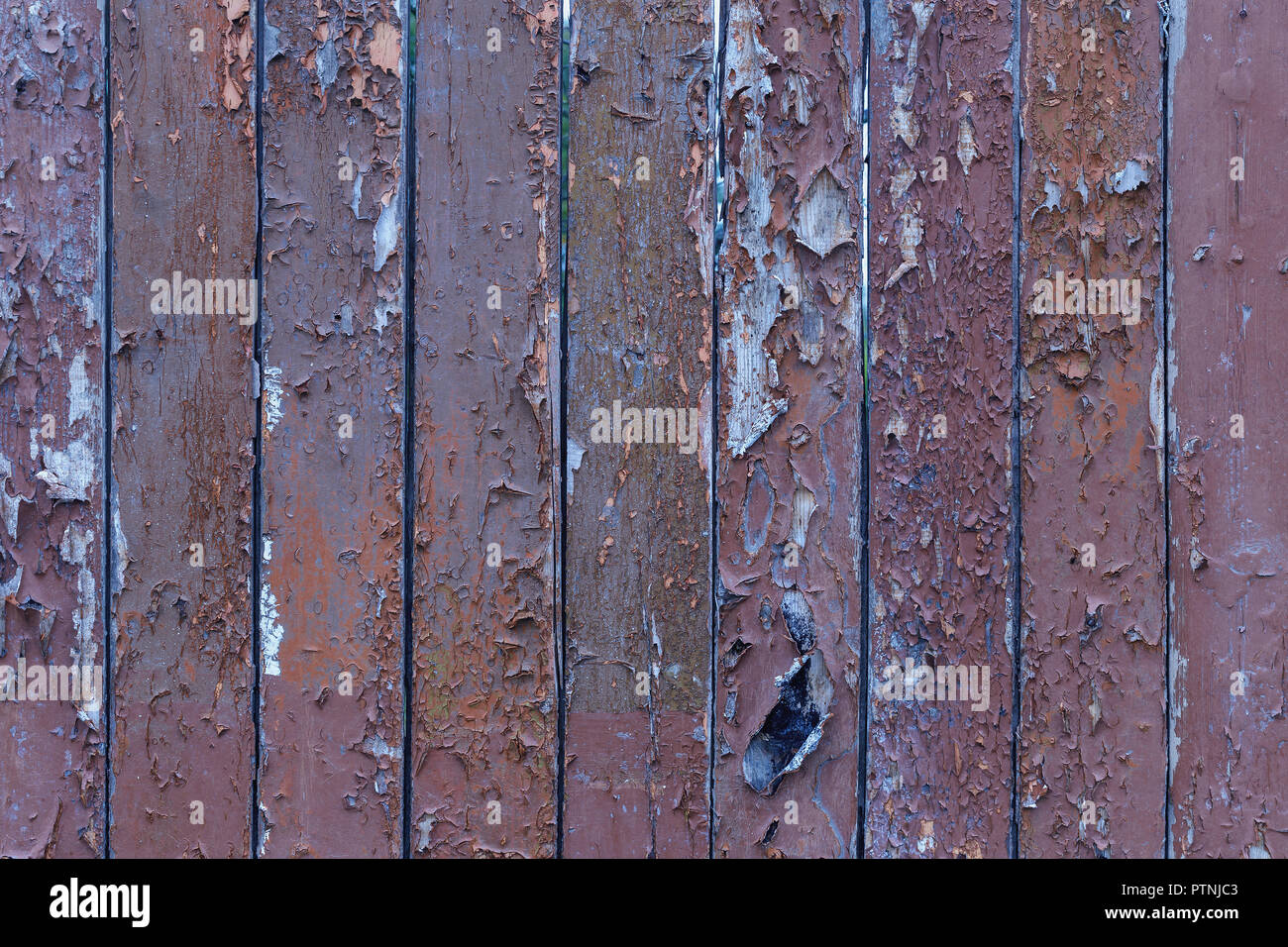 Cracked aged wooden boards hi-res stock photography and images - Alamy