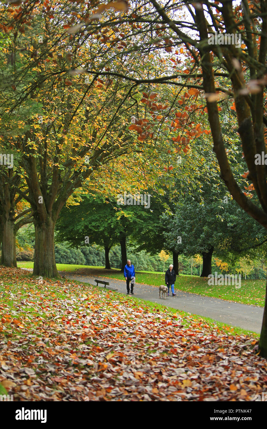 Sir thomas and lady dixon park hi-res stock photography and images - Alamy