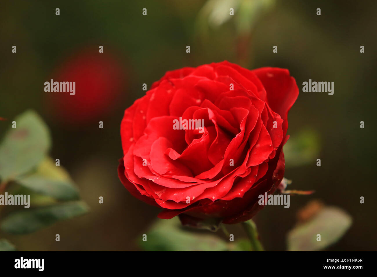 Southern hemisphere winter solstice hi-res stock photography and images ...